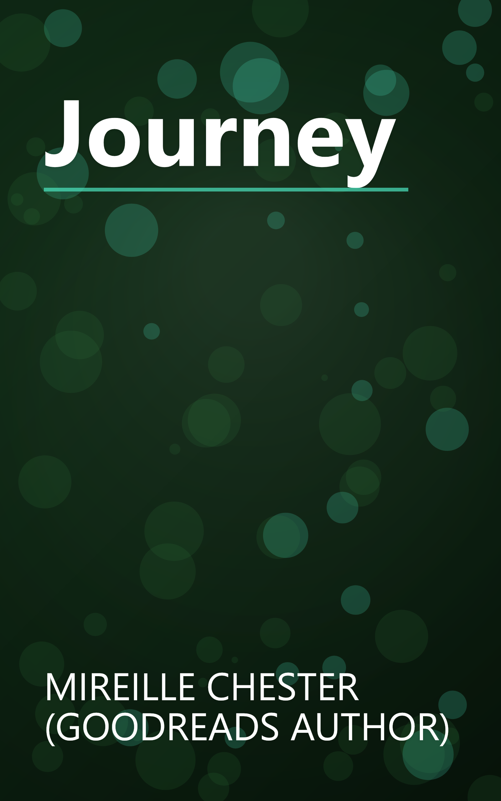 Journey book cover