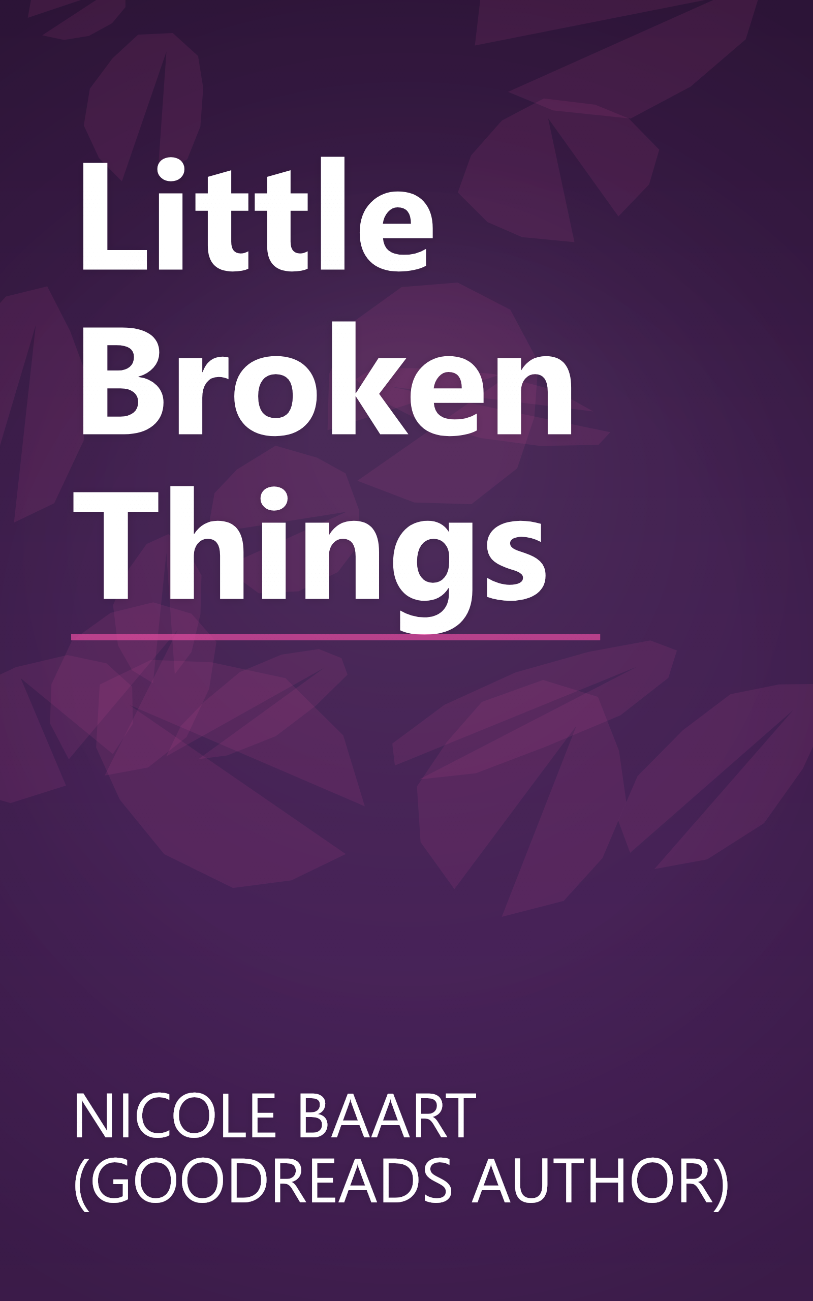 Little Broken Things book cover