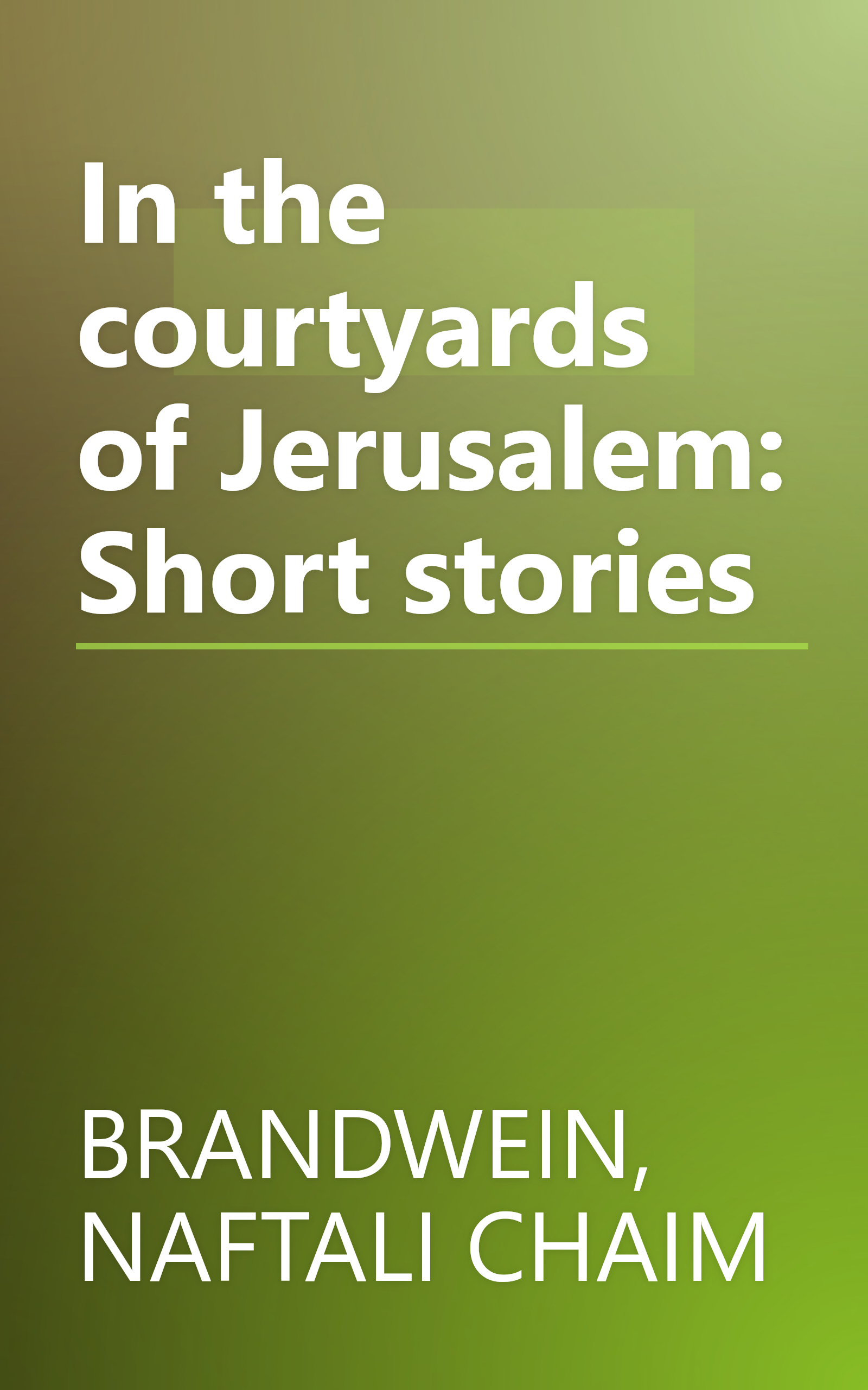 In the courtyards of Jerusalem: Short stories book cover