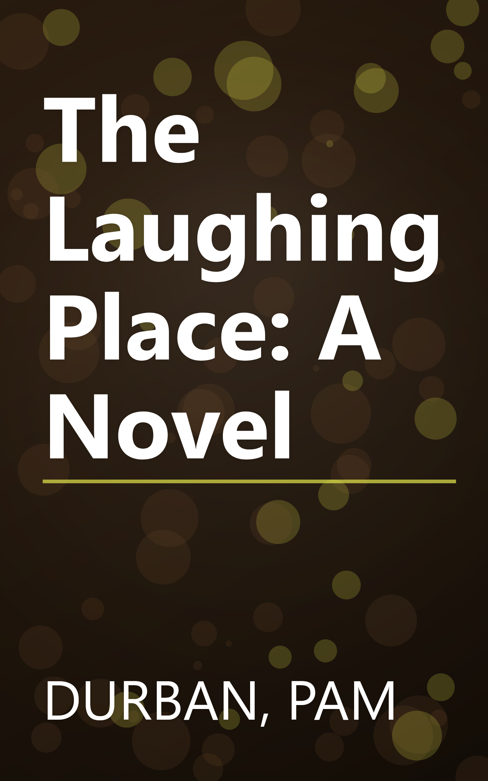 The Laughing Place: A Novel book cover
