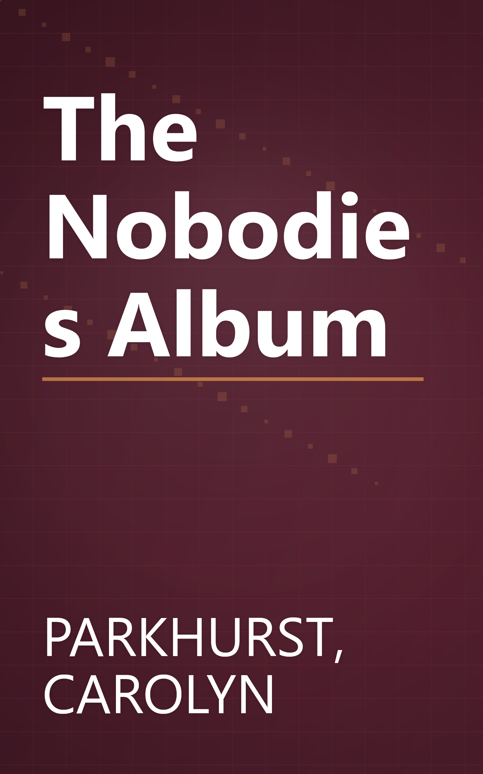 The Nobodies Album book cover