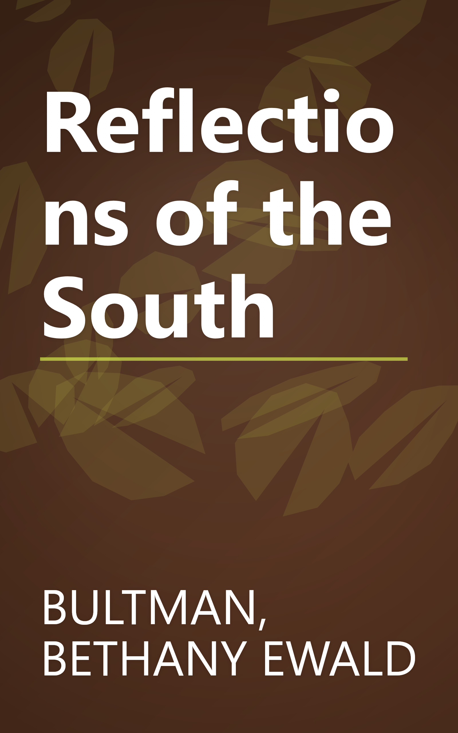 Reflections of the South book cover