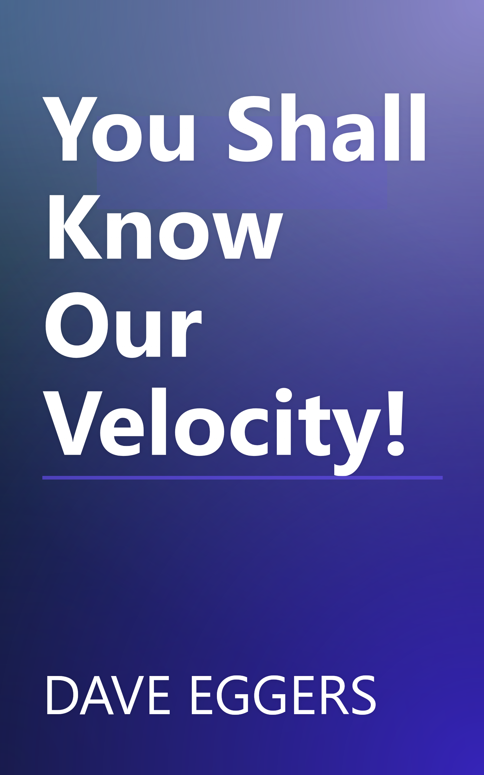 You Shall Know Our Velocity! book cover