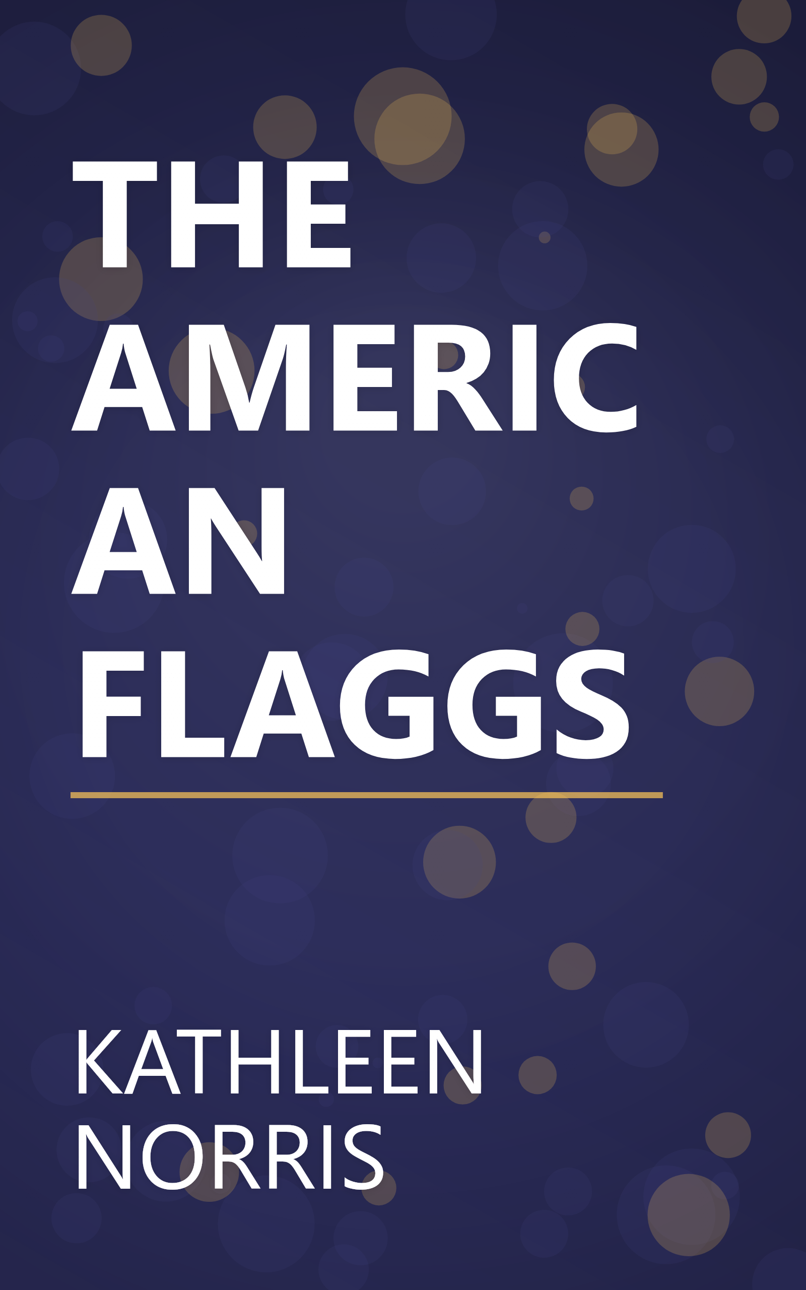 THE AMERICAN FLAGGS book cover