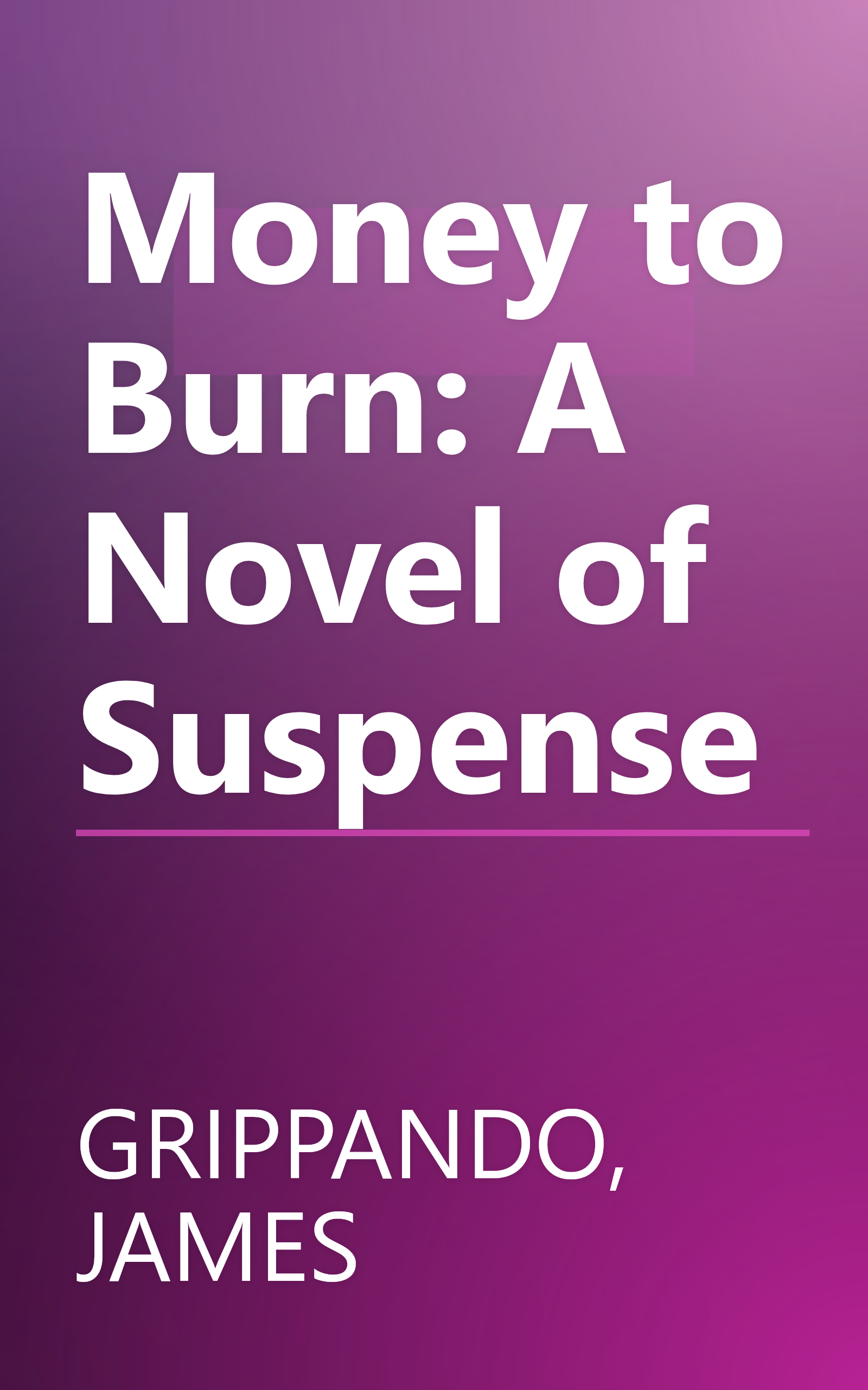 Money to Burn: A Novel of Suspense book cover