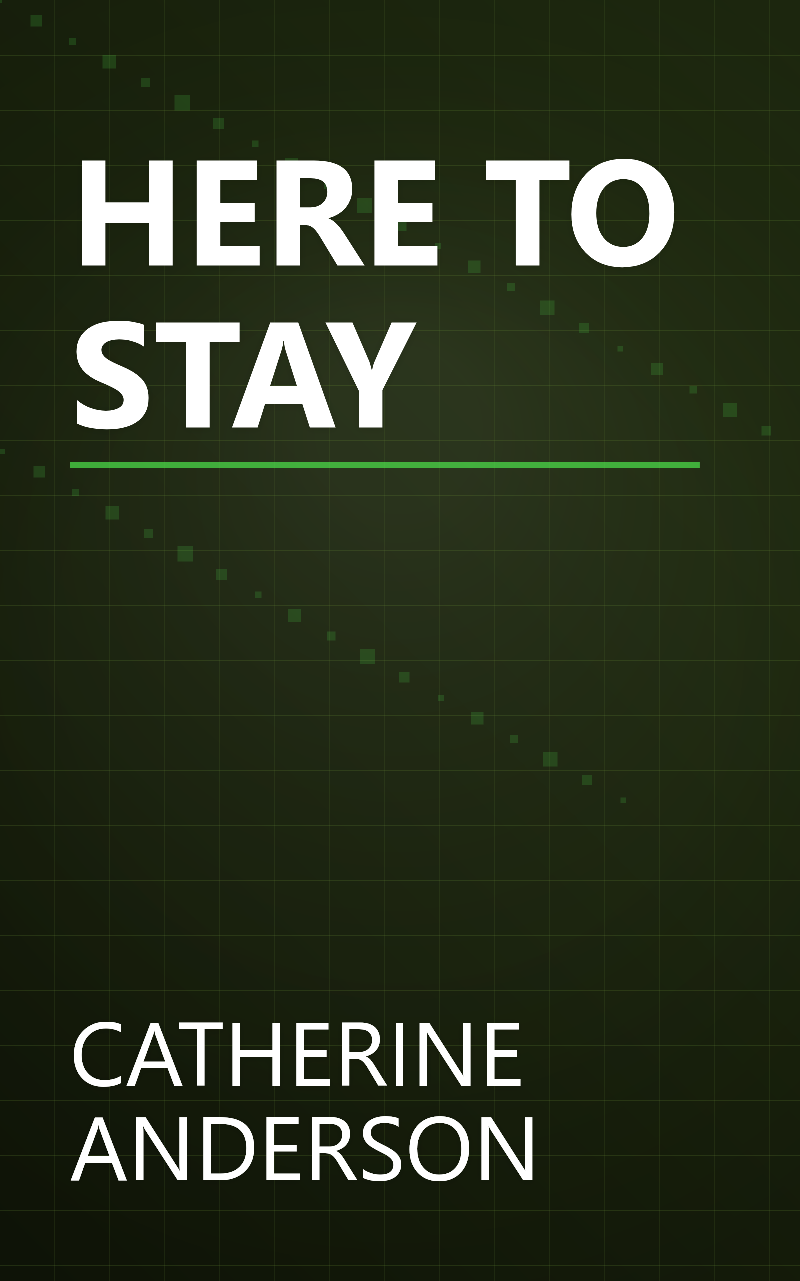 HERE TO STAY book cover