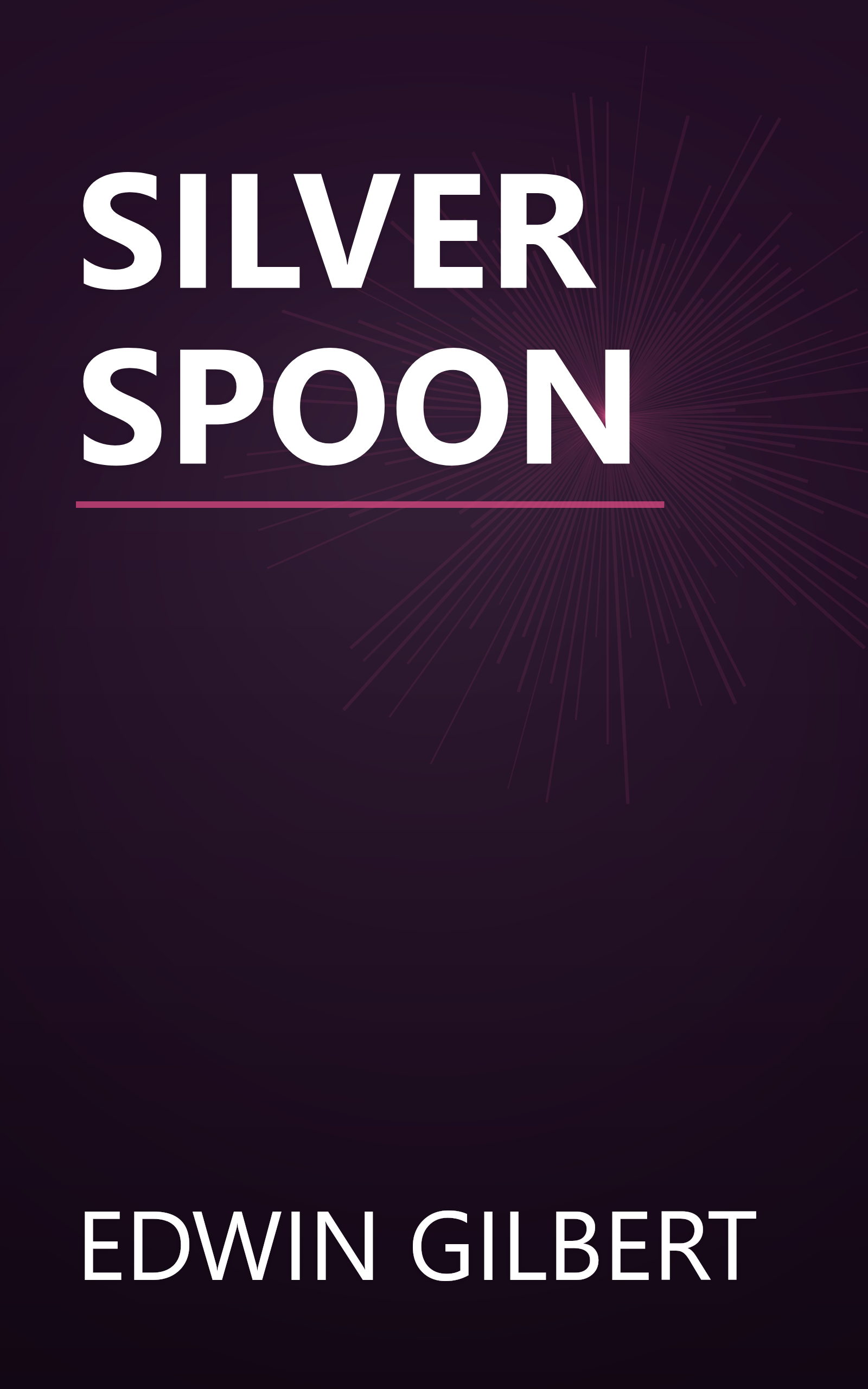 SILVER SPOON book cover