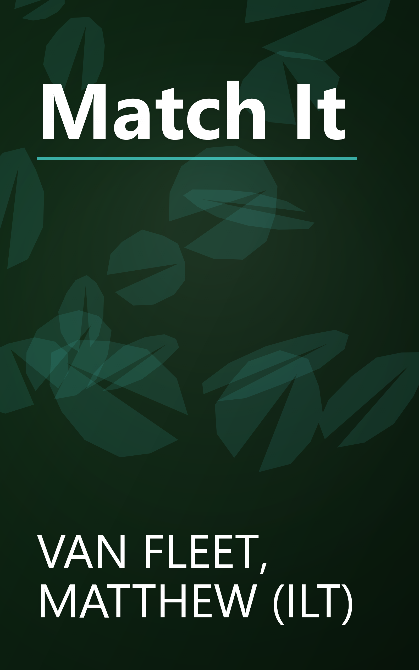 Match It book cover