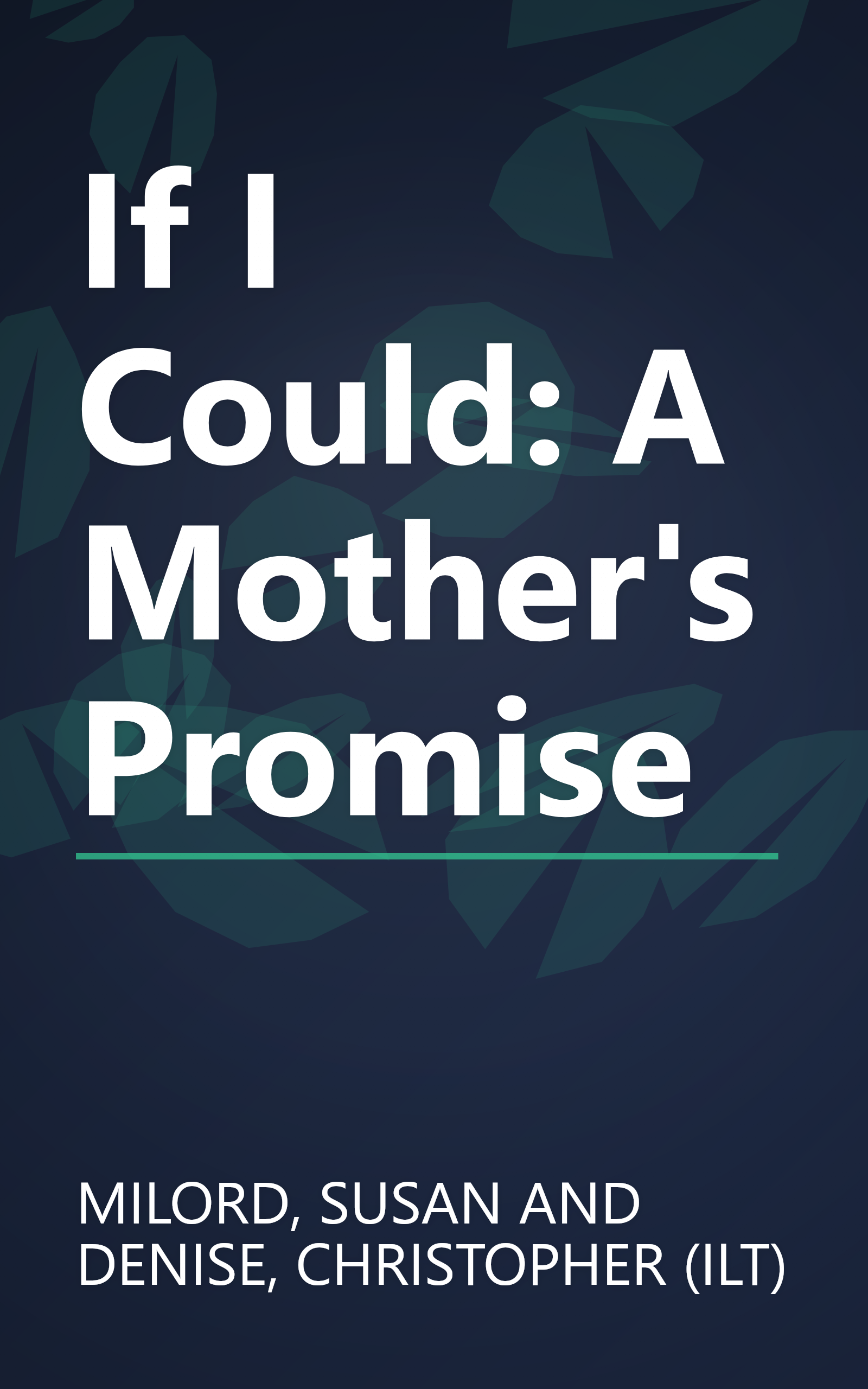 If I Could: A Mother's Promise book cover