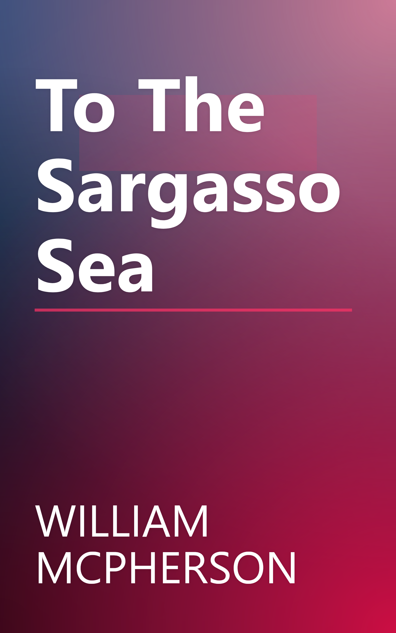 To The Sargasso Sea book cover