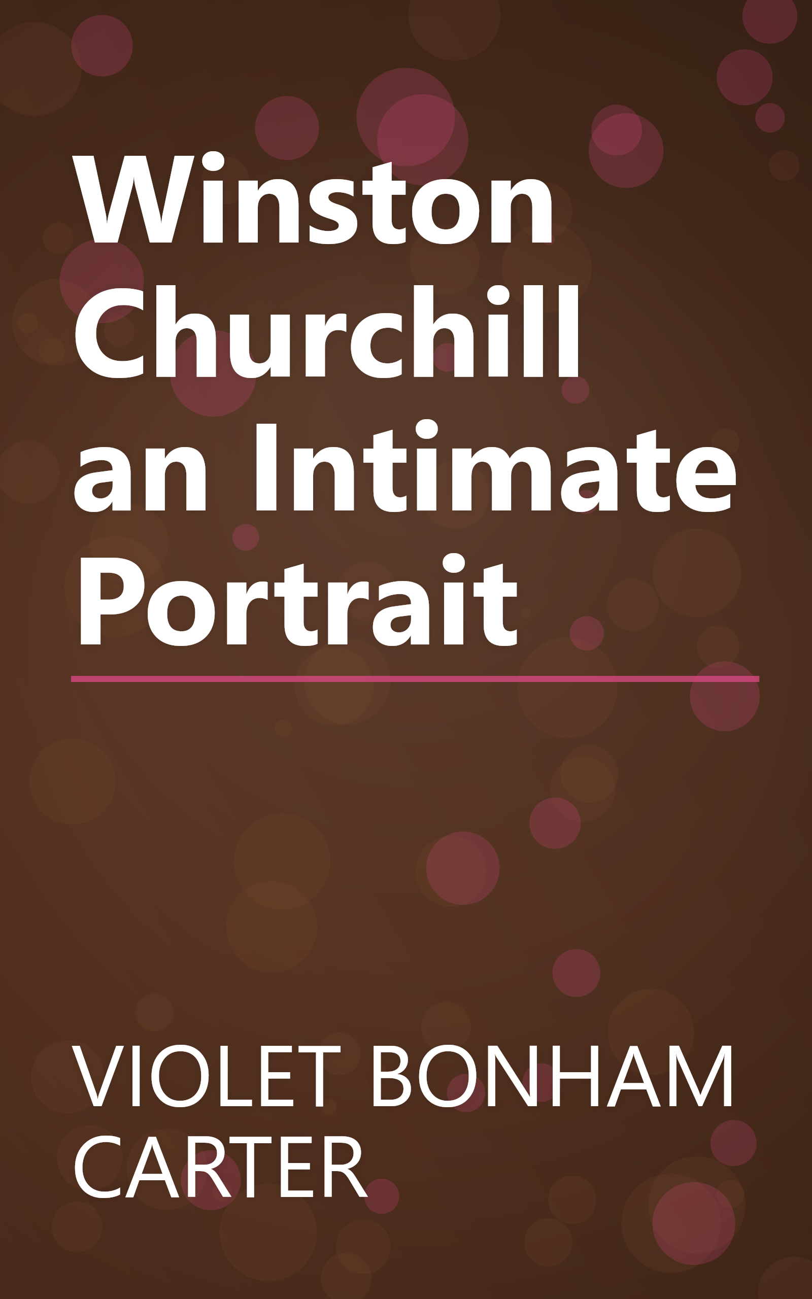 Winston Churchill an Intimate Portrait book cover