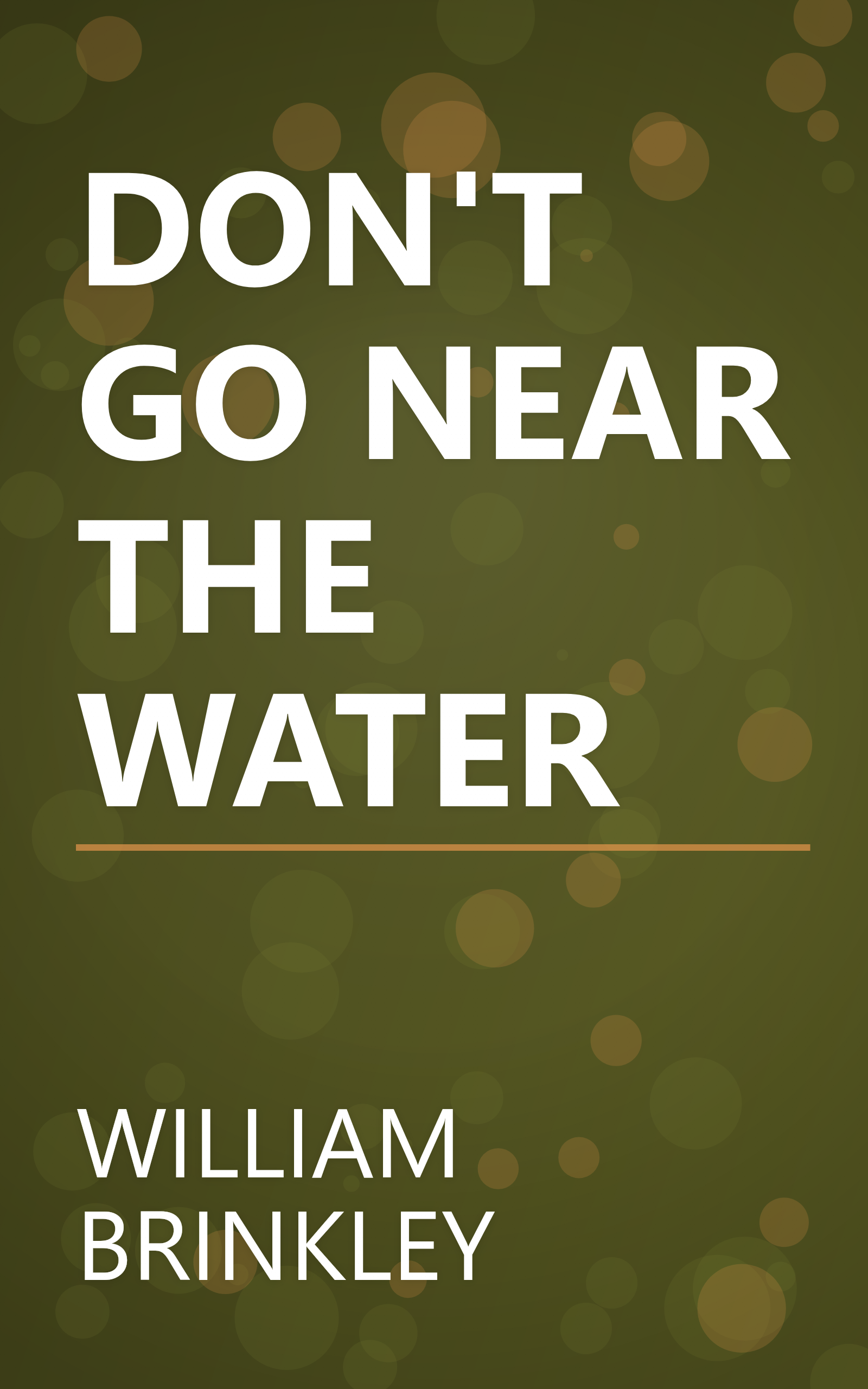 DON'T GO NEAR THE WATER book cover