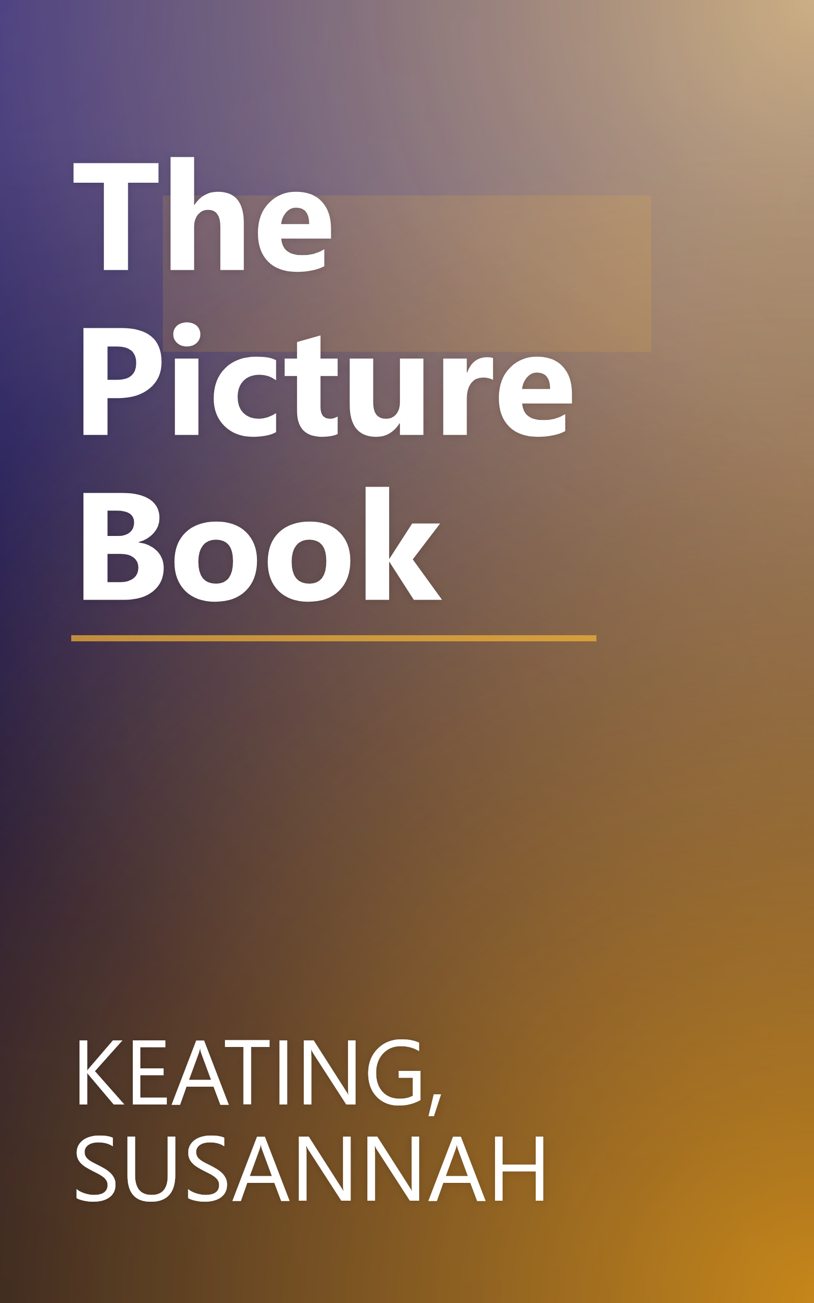 The Picture Book book cover