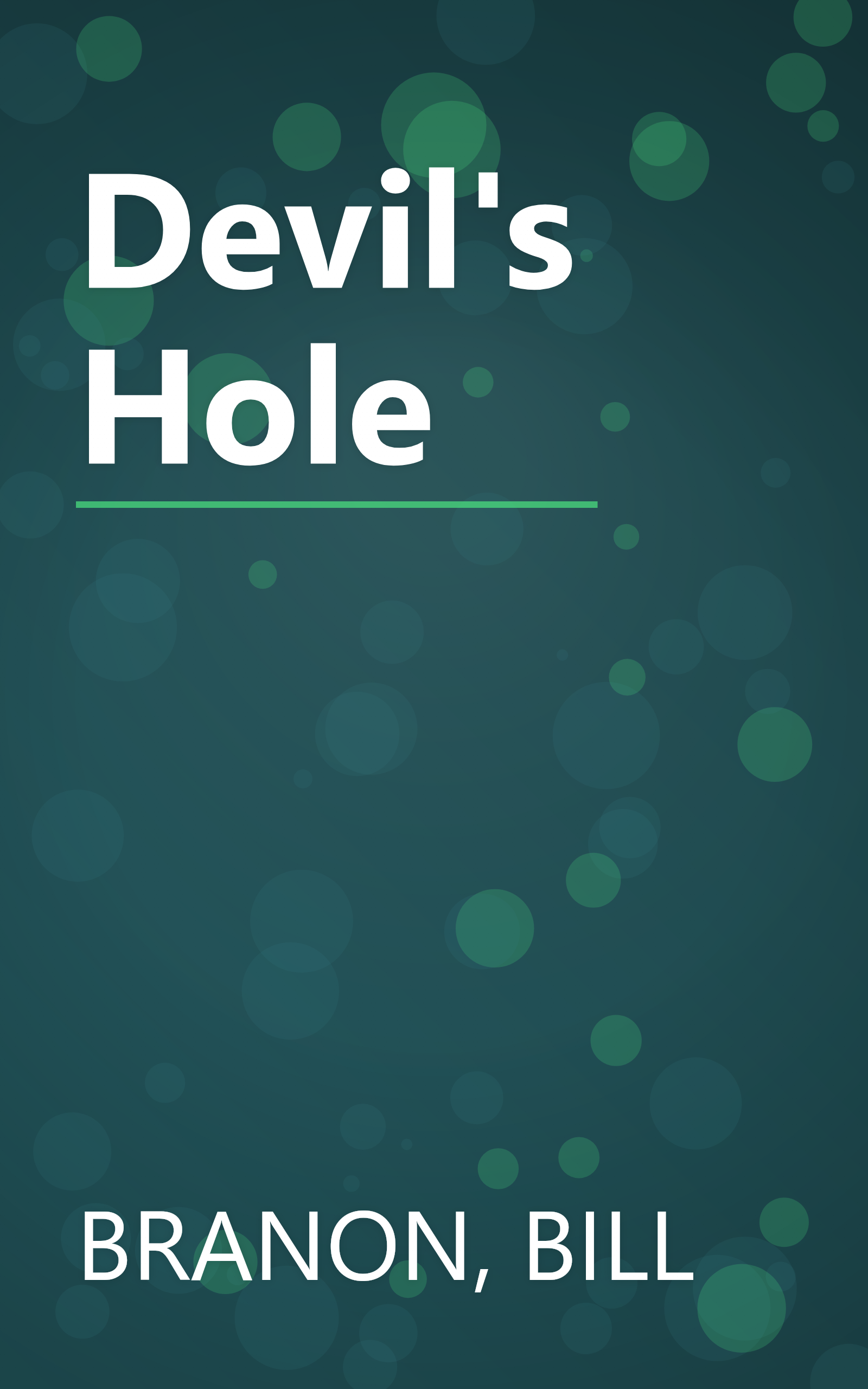 Devil's Hole book cover