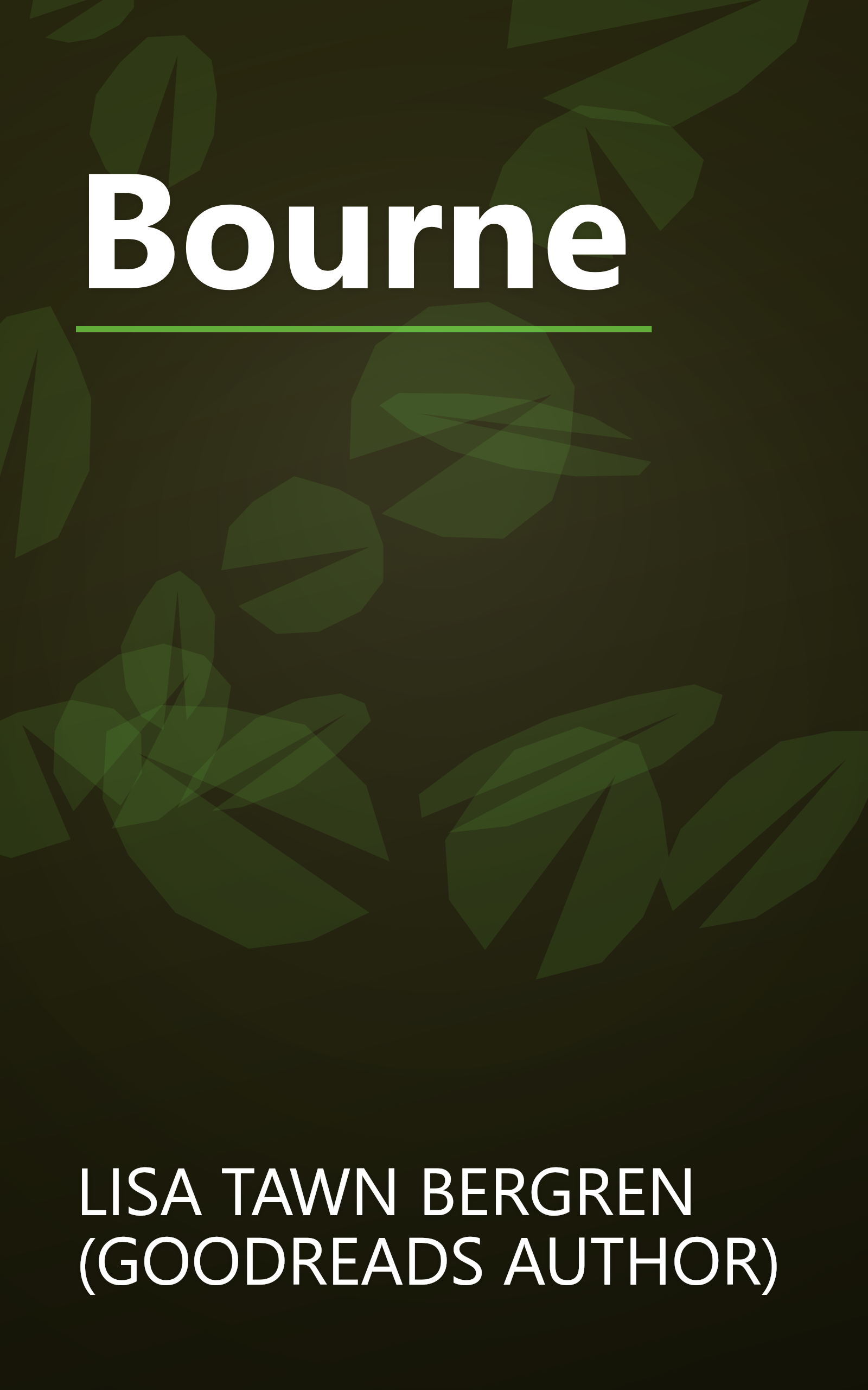 Bourne book cover