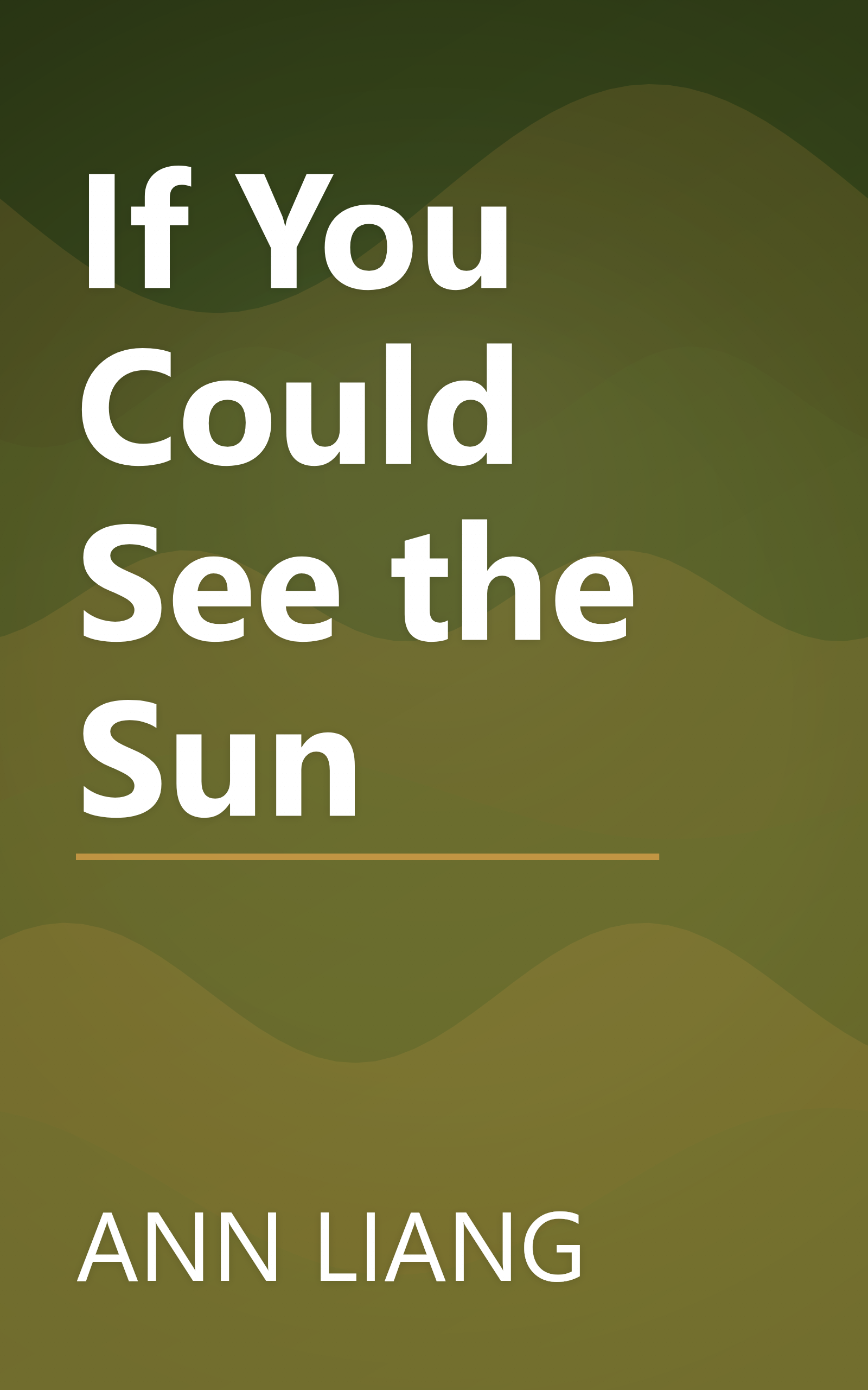 If You Could See the Sun book cover