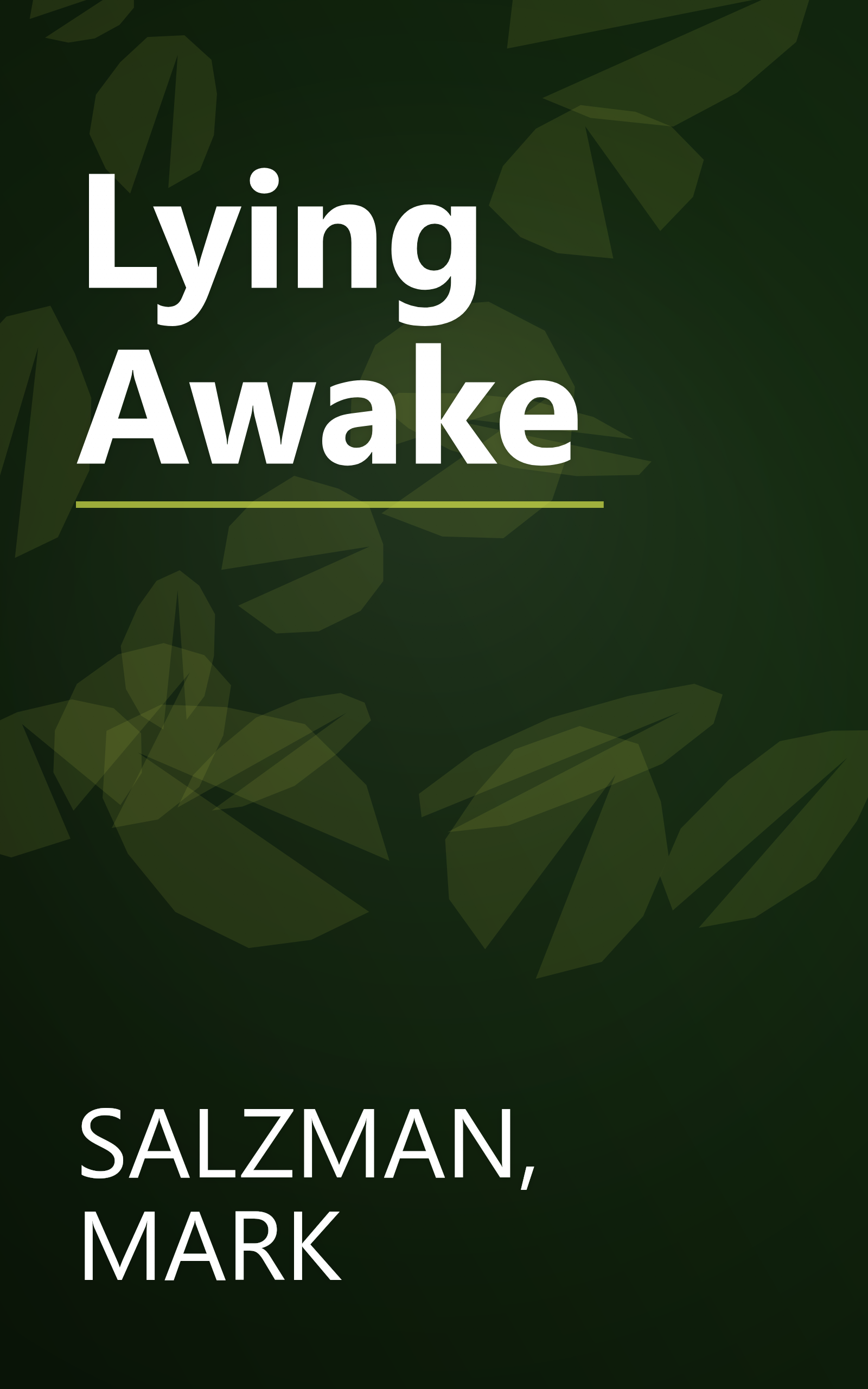 Lying Awake book cover