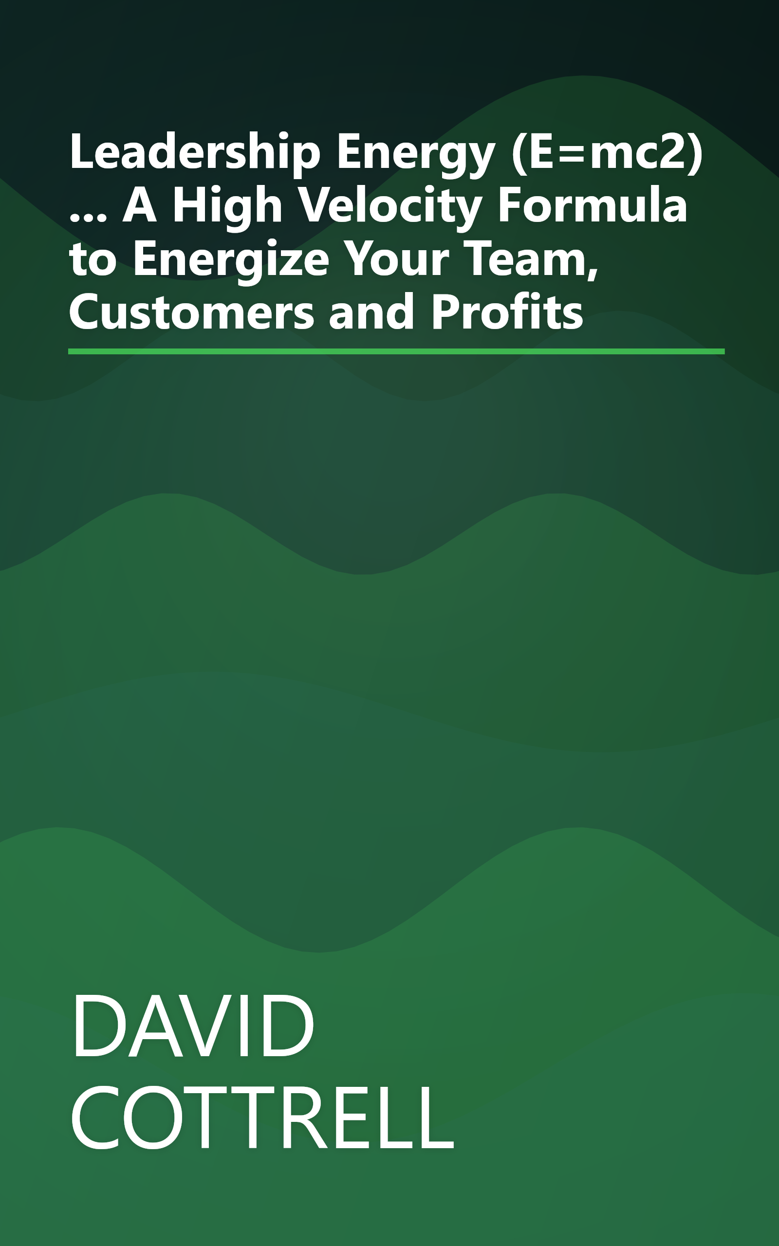Leadership Energy (E=mc2) ... A High Velocity Formula to Energize Your Team, Customers and Profits book cover