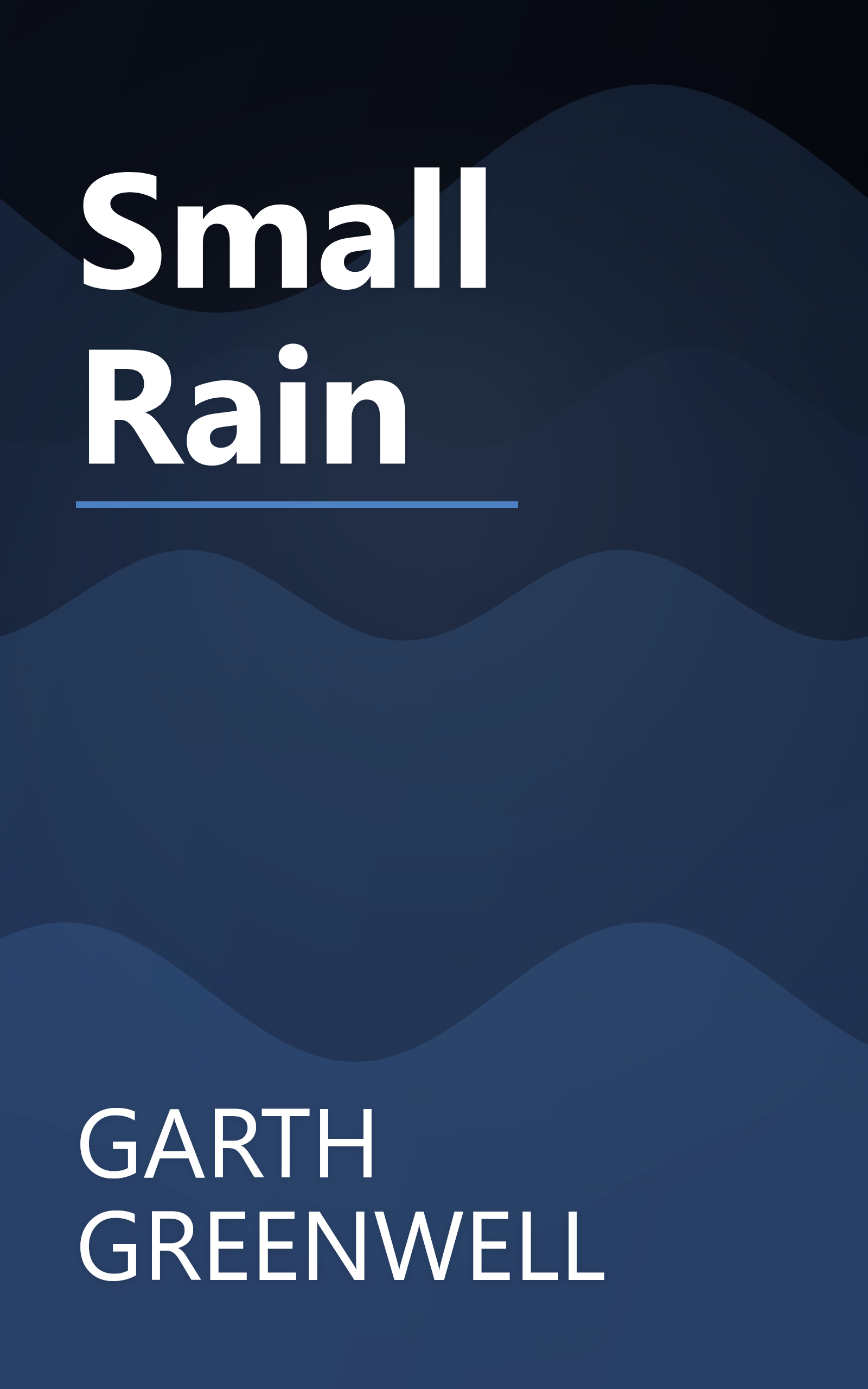 Small Rain book cover