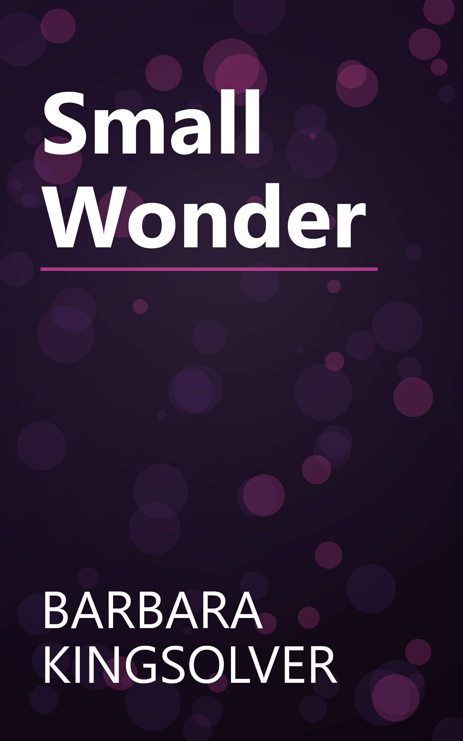 Small Wonder book cover