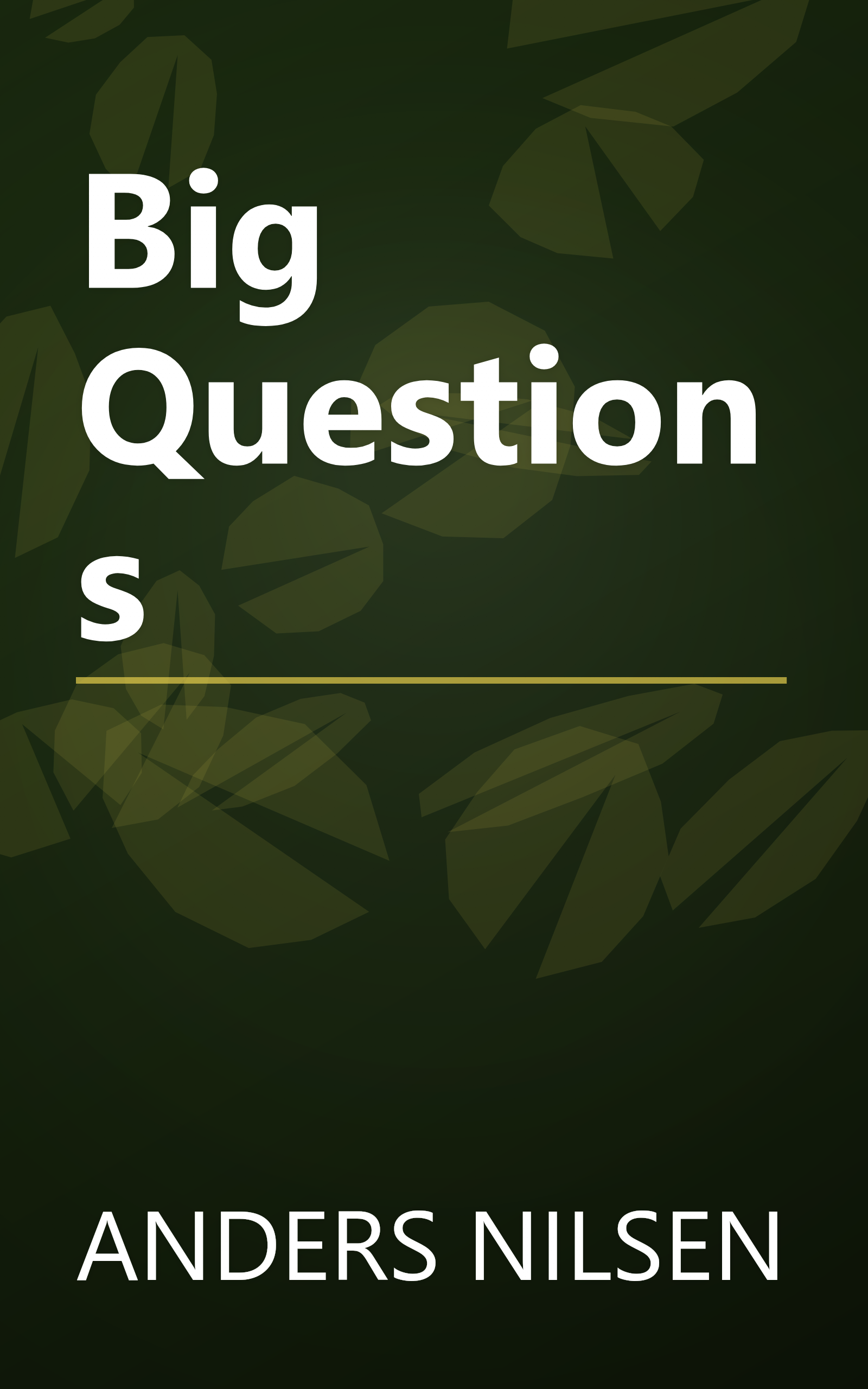 Big Questions book cover