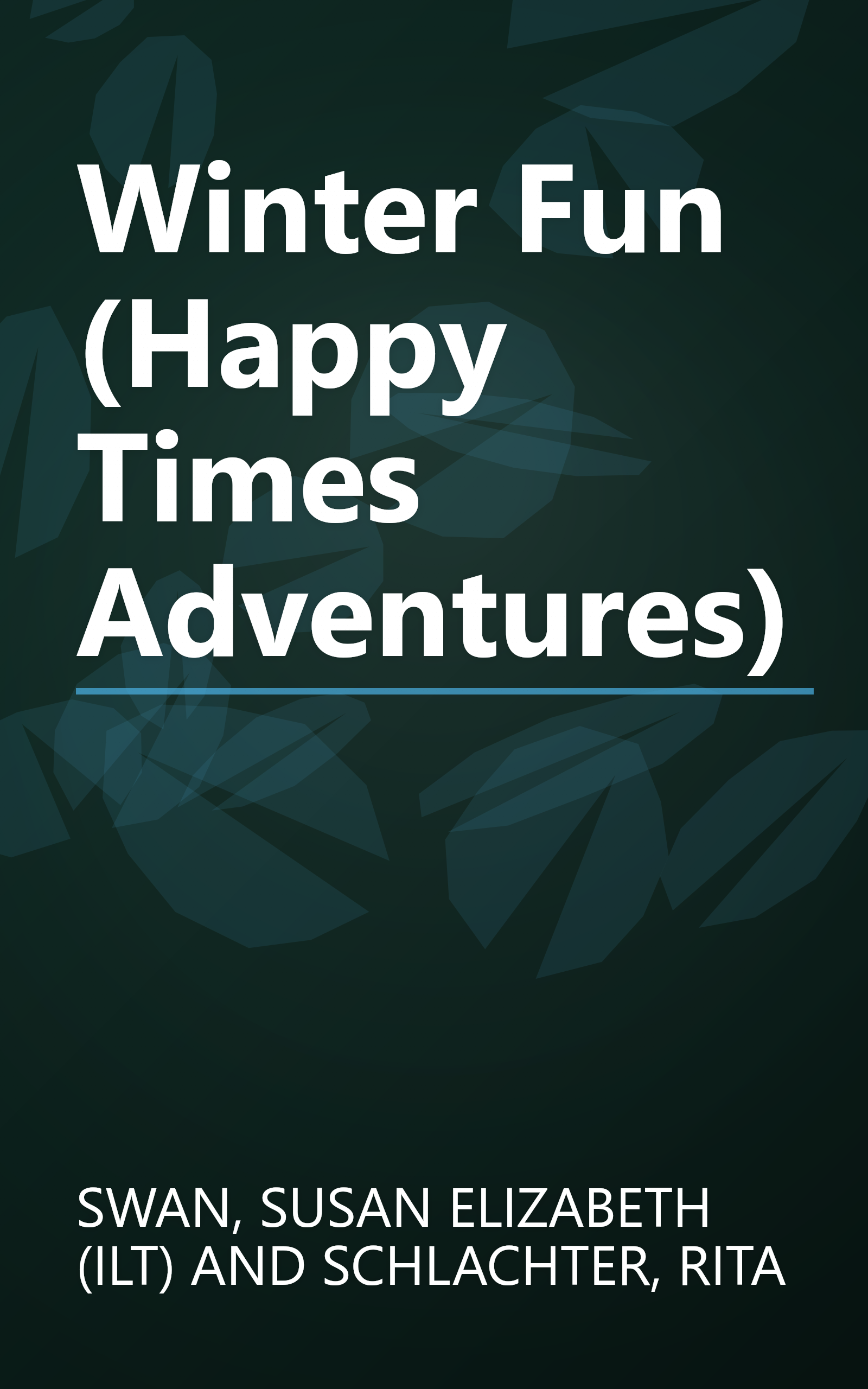 Winter Fun (Happy Times Adventures) book cover