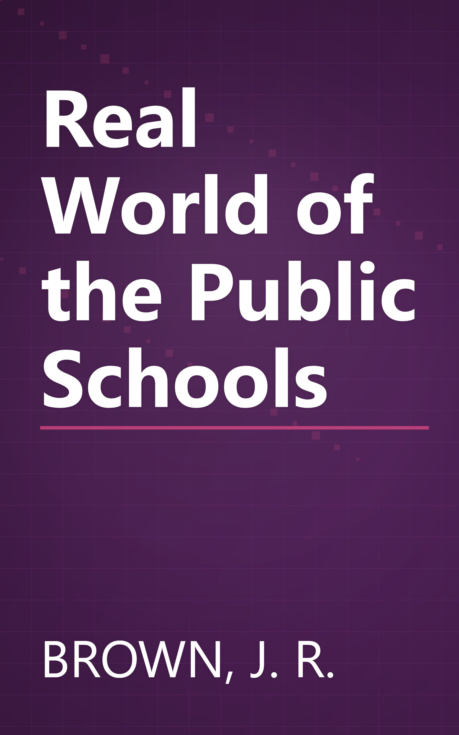 Real World of the Public Schools book cover