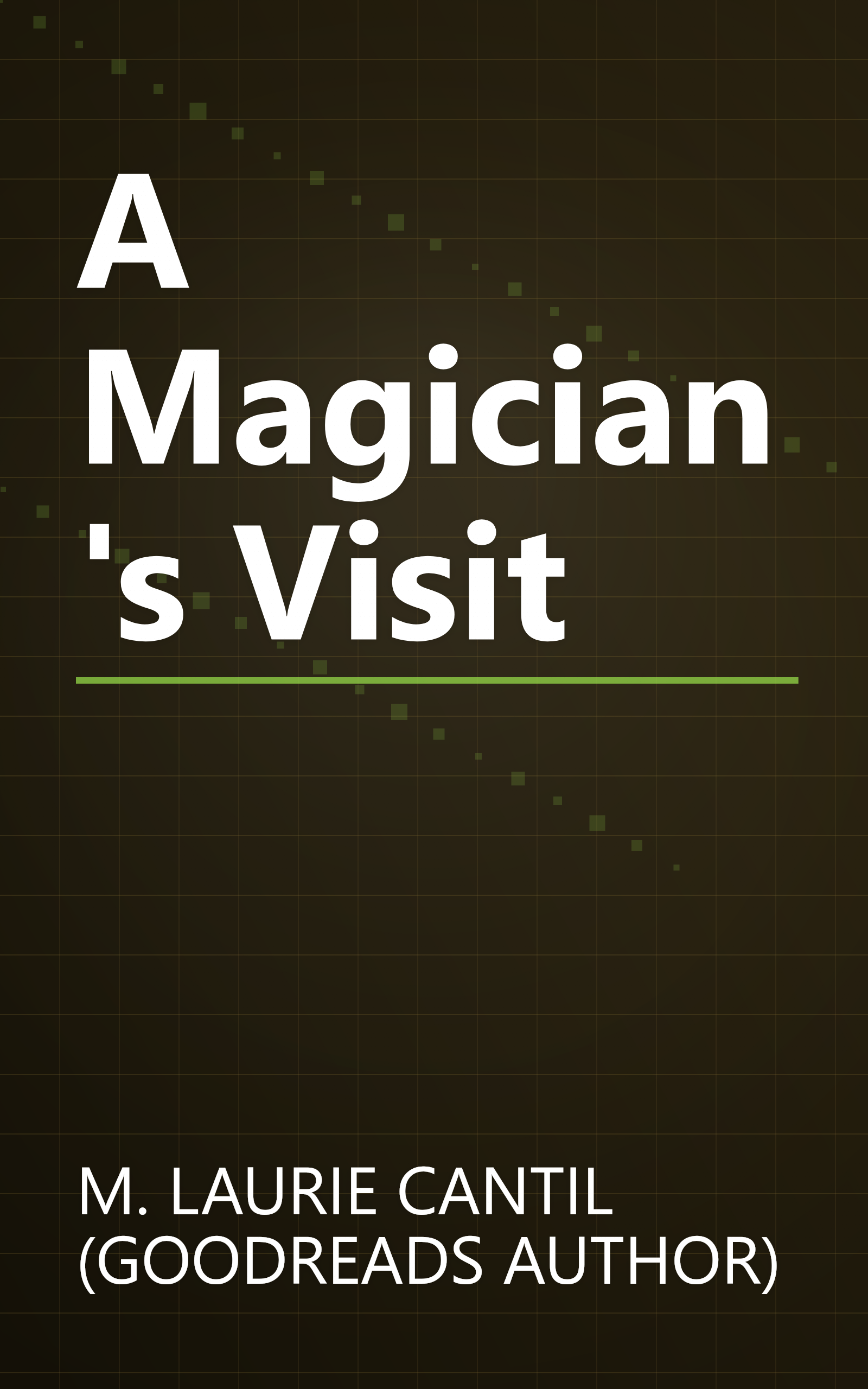 A Magician's Visit book cover