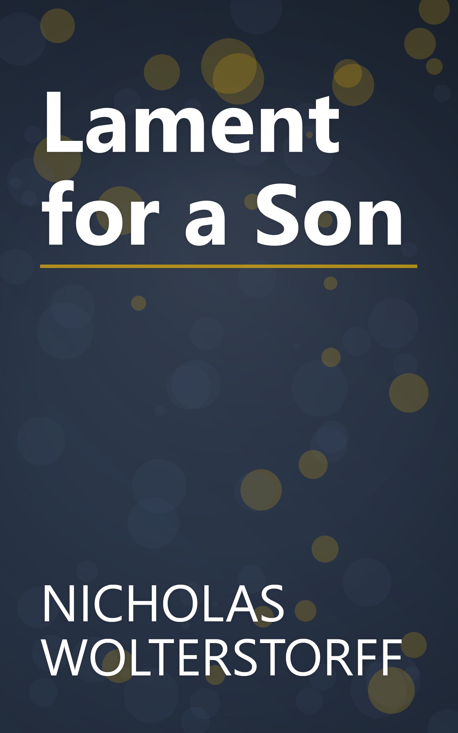 Lament for a Son book cover