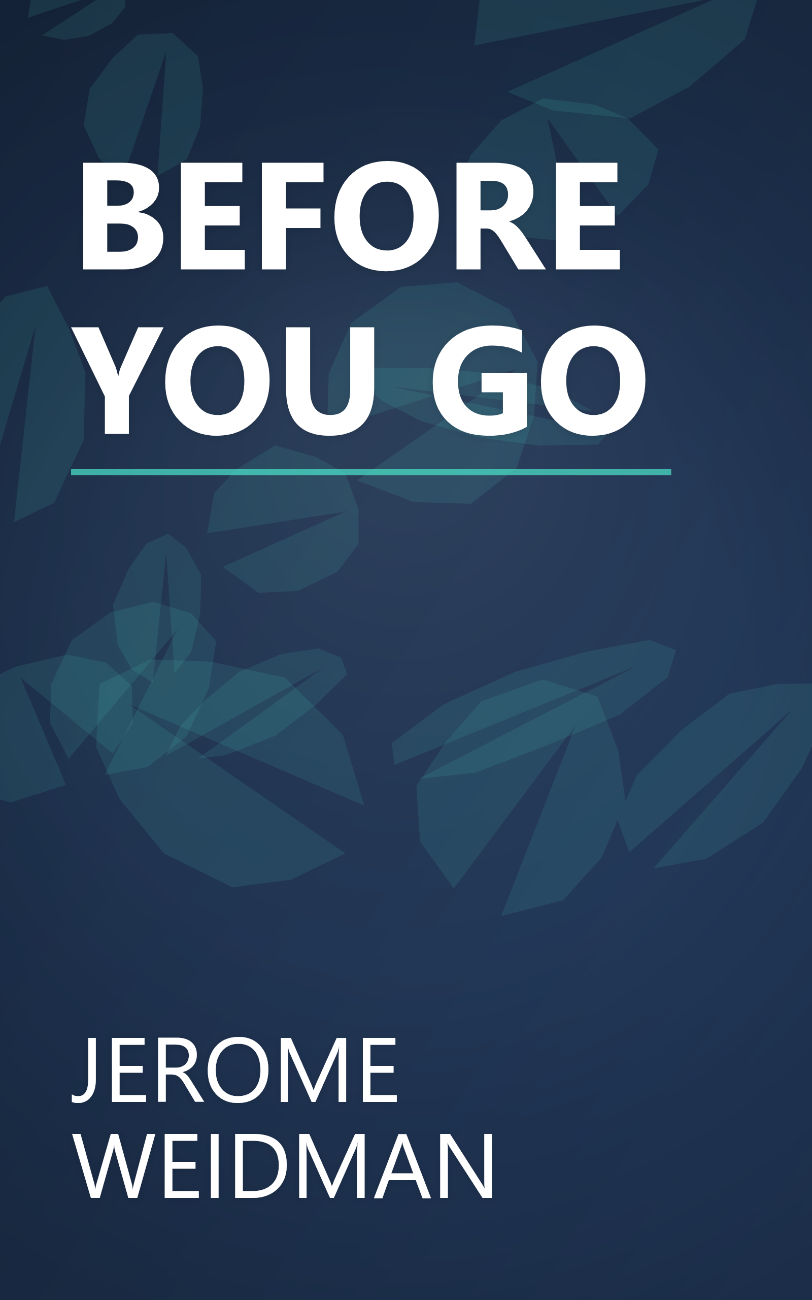 BEFORE YOU GO book cover