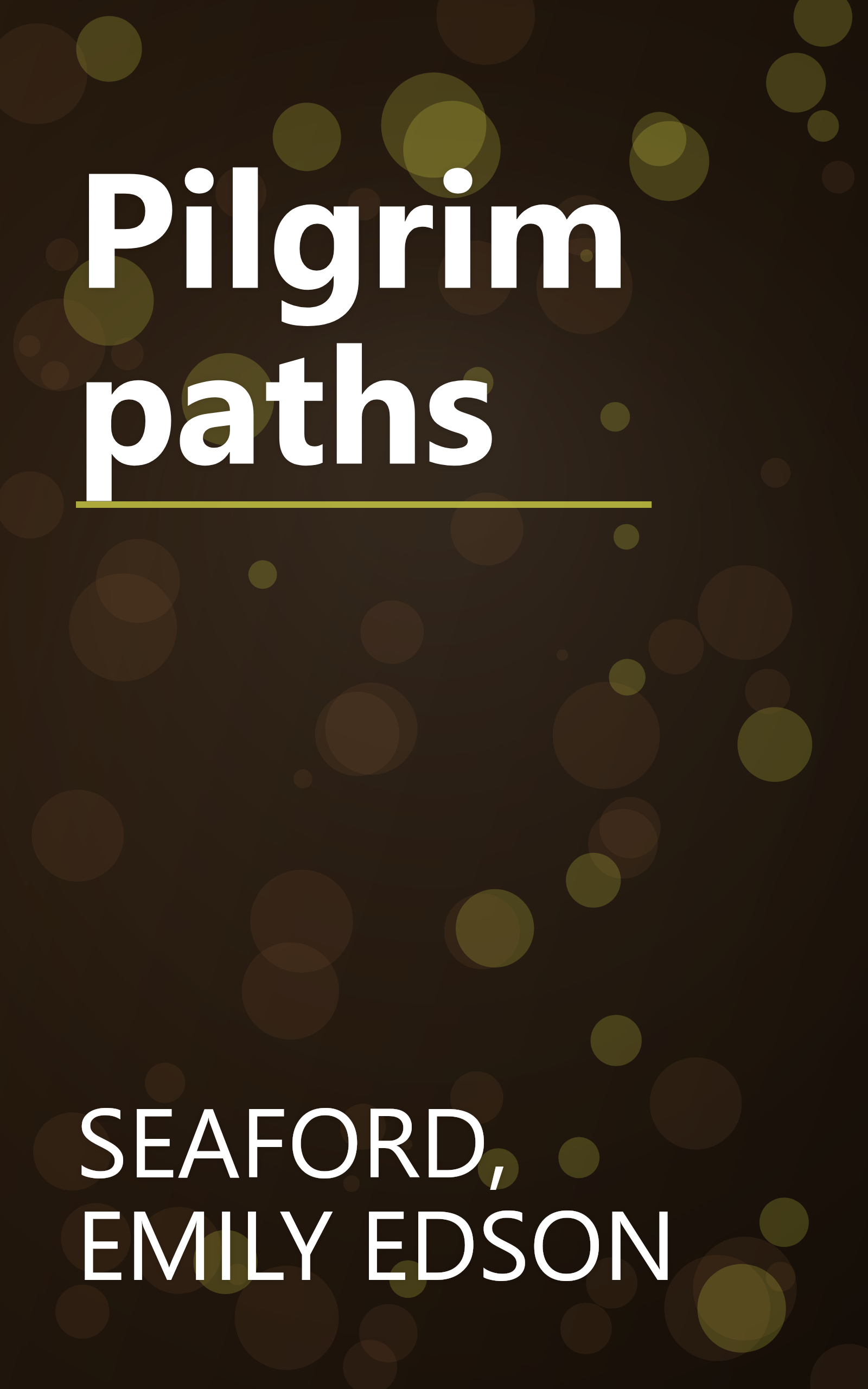 Pilgrim paths book cover