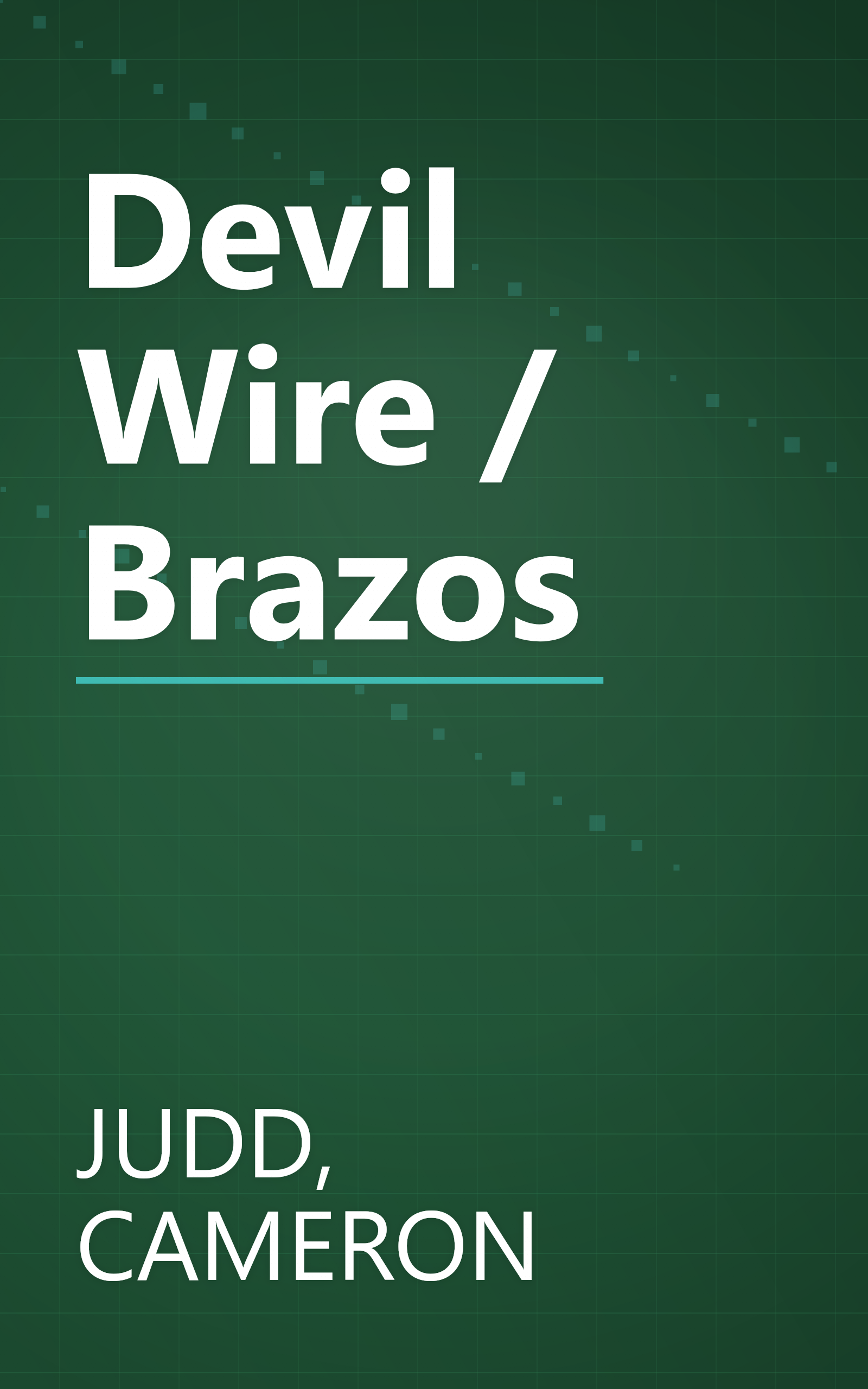 Devil Wire / Brazos book cover