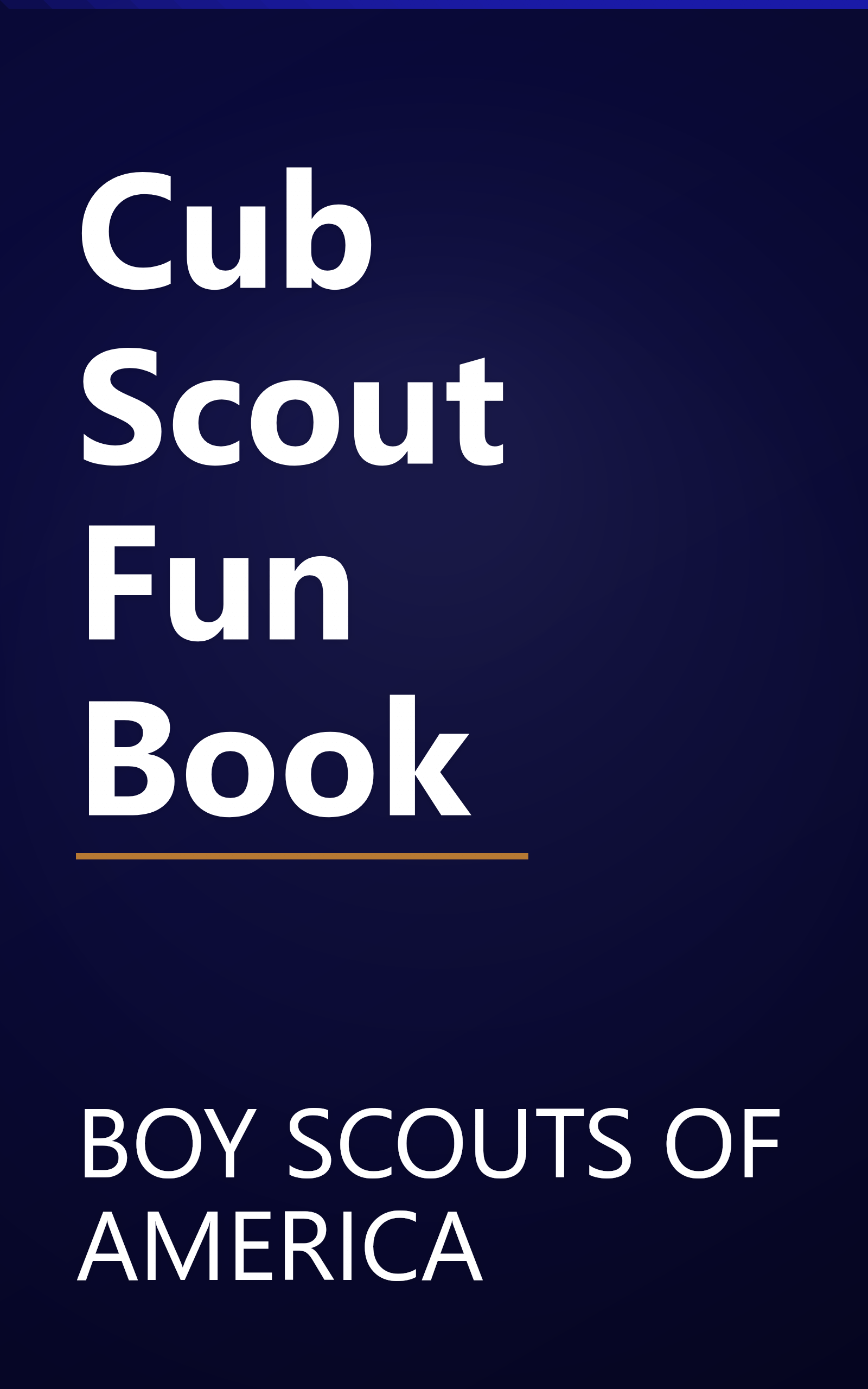 Cub Scout Fun Book book cover