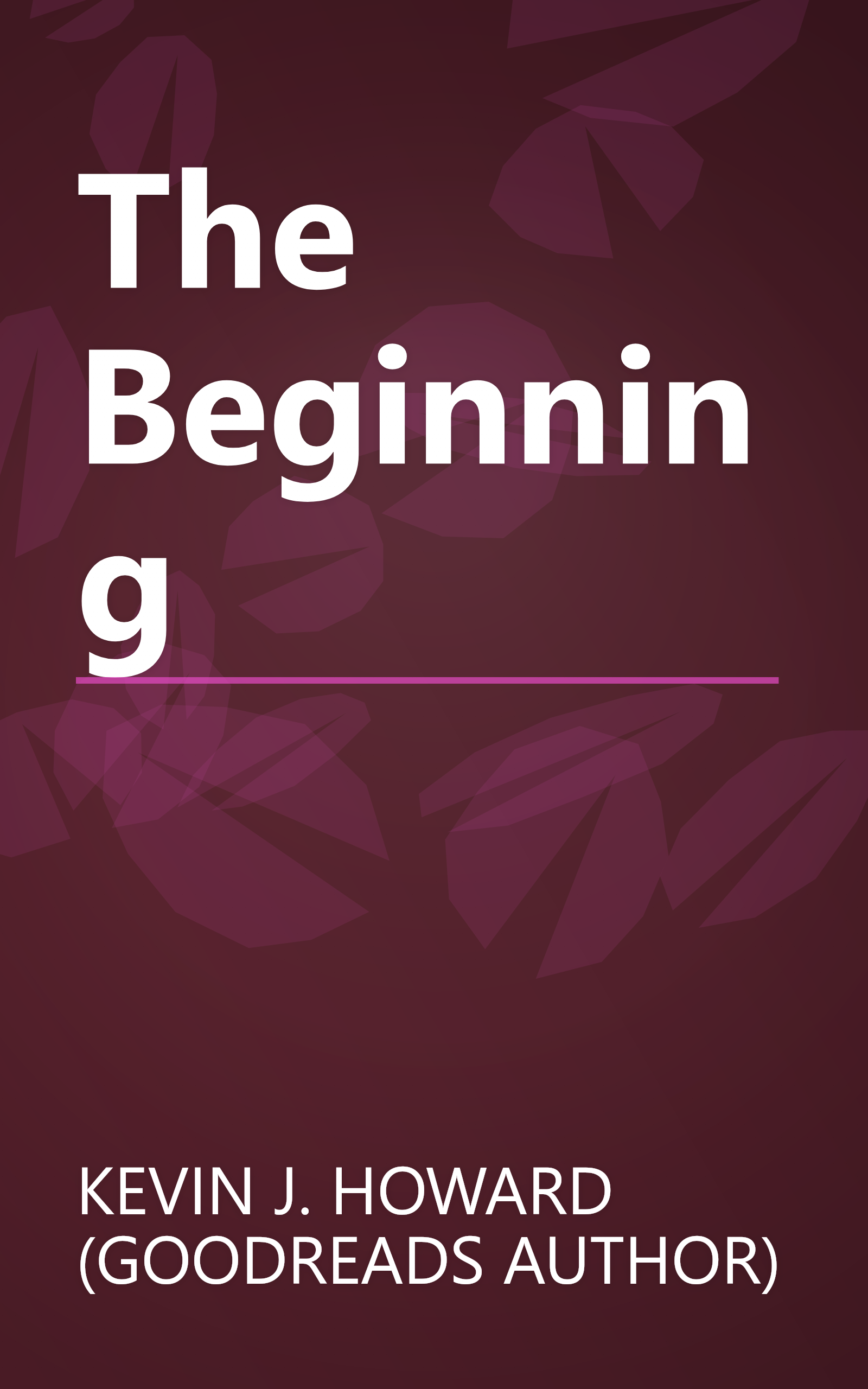 The Beginning book cover