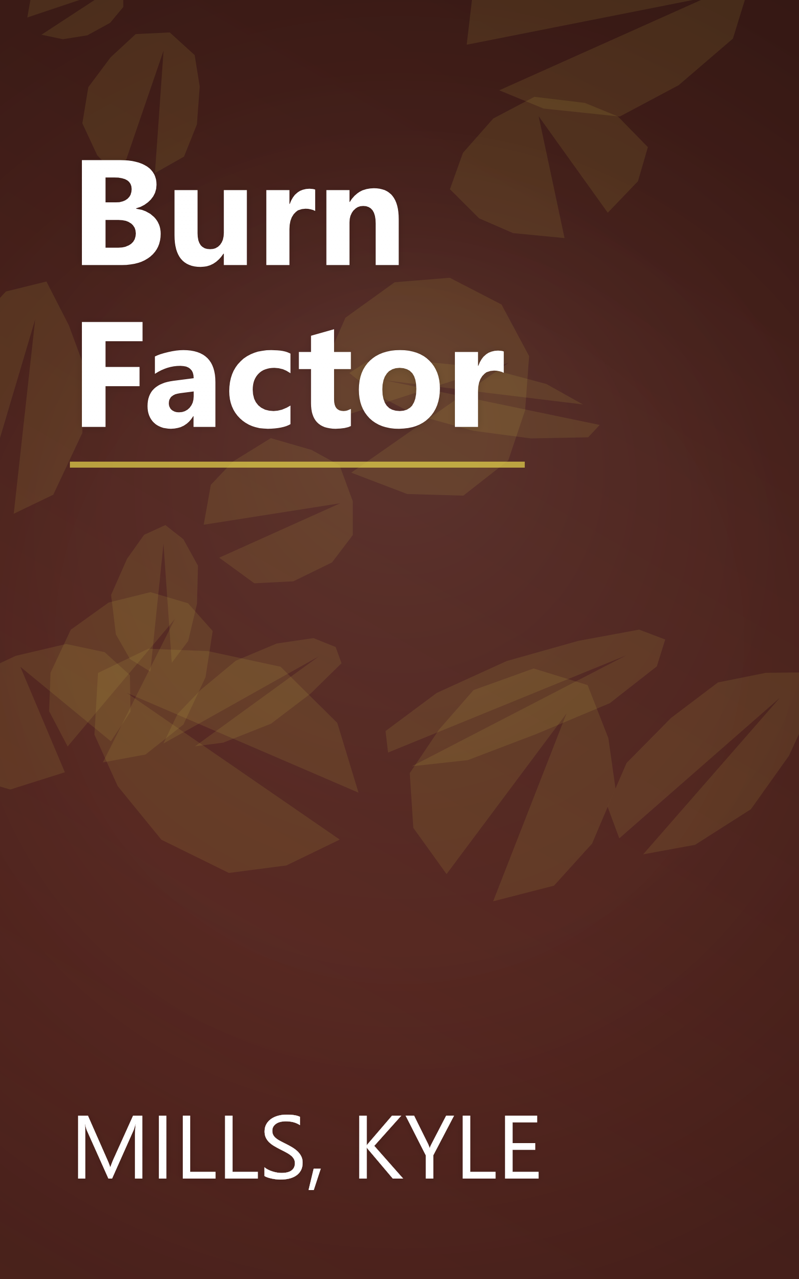 Burn Factor book cover