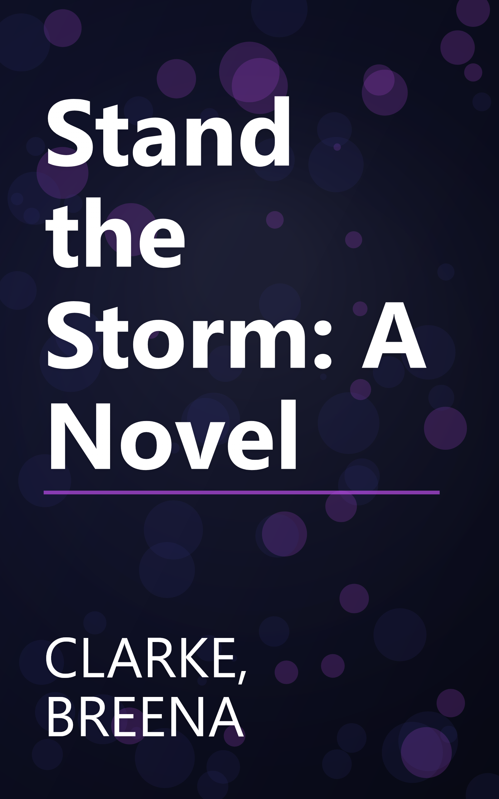 Stand the Storm: A Novel book cover