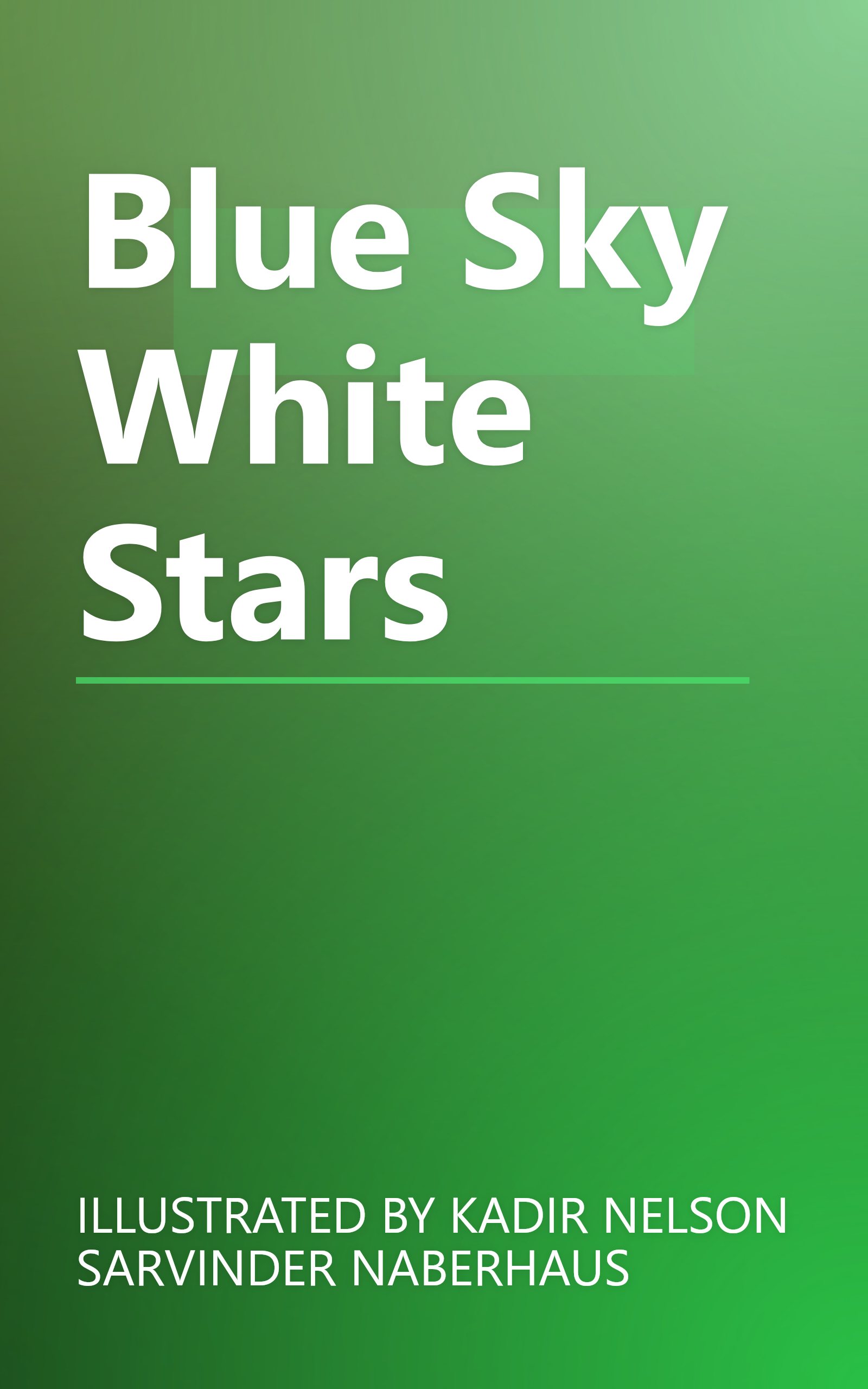 Blue Sky White Stars book cover