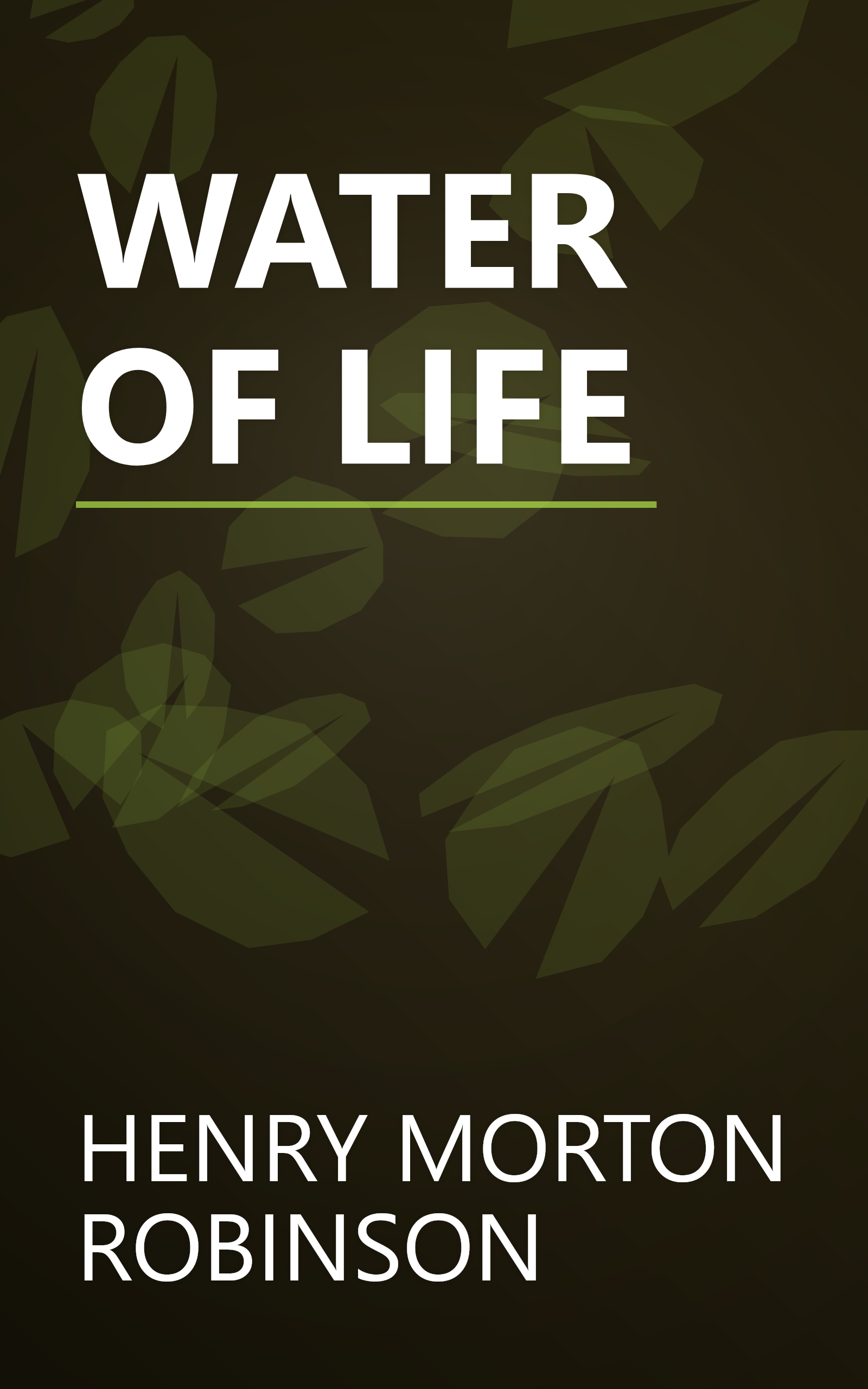 WATER OF LIFE book cover