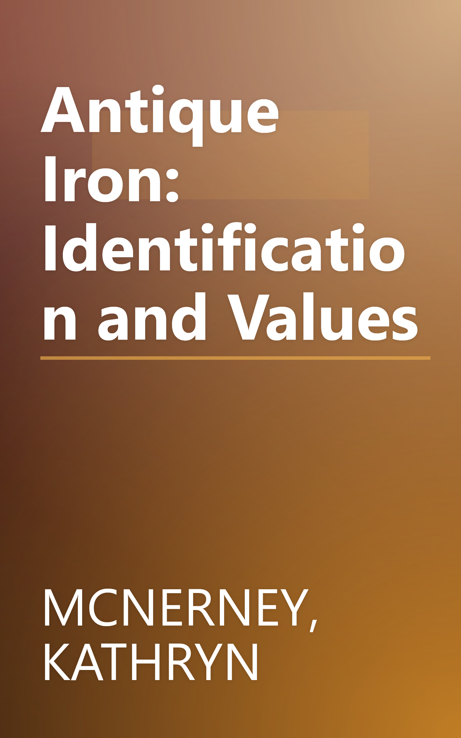 Antique Iron: Identification and Values book cover