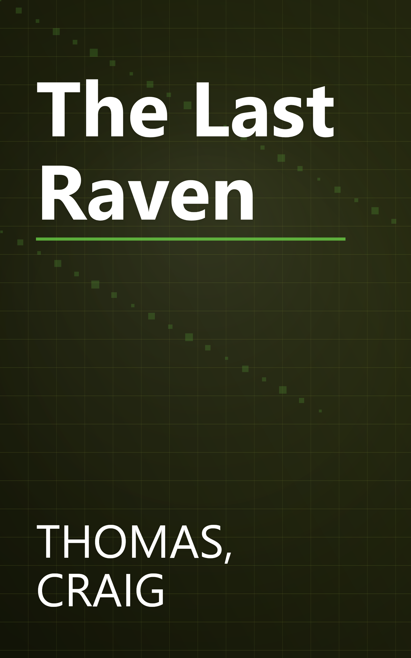 The Last Raven book cover
