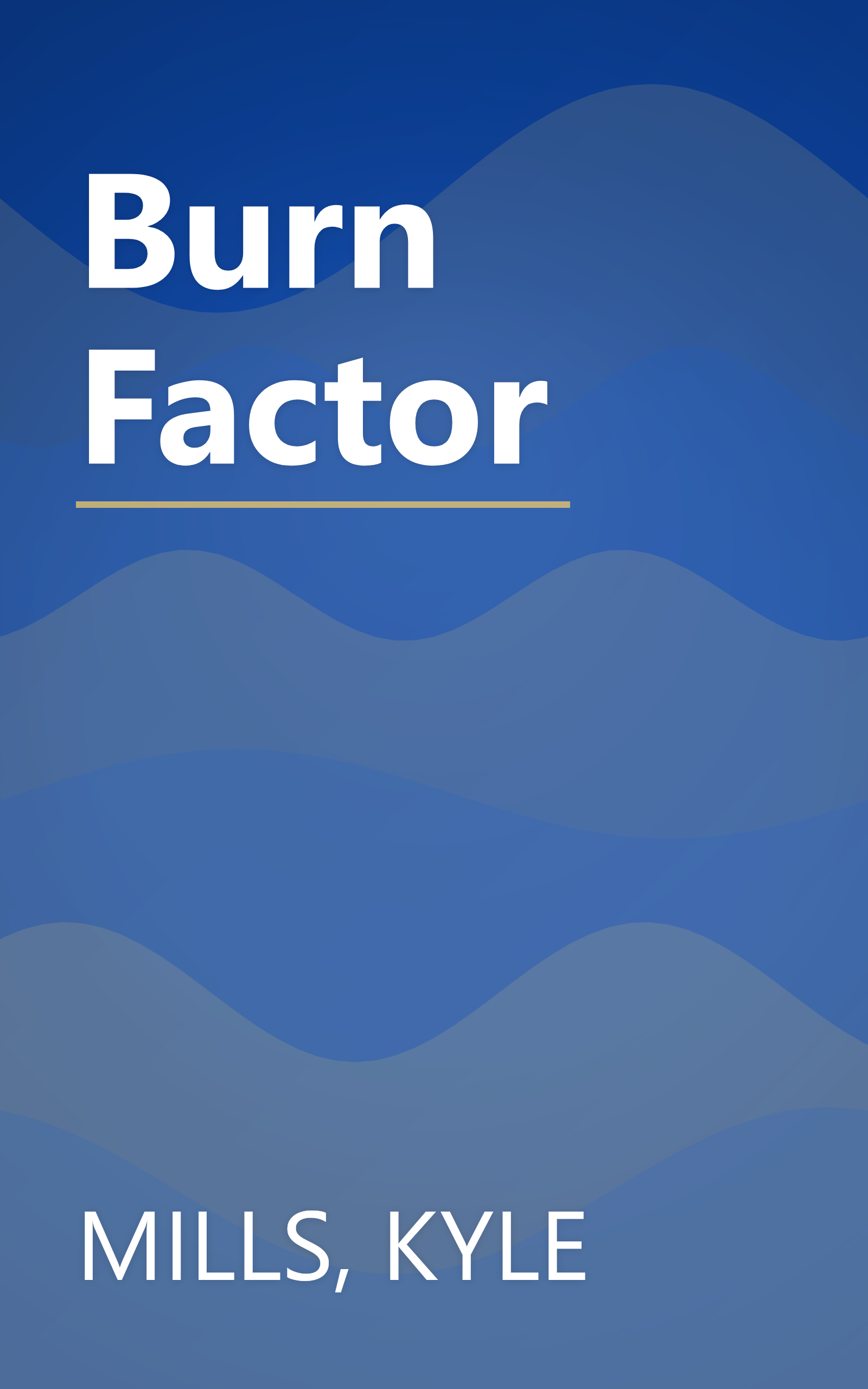 Burn Factor book cover