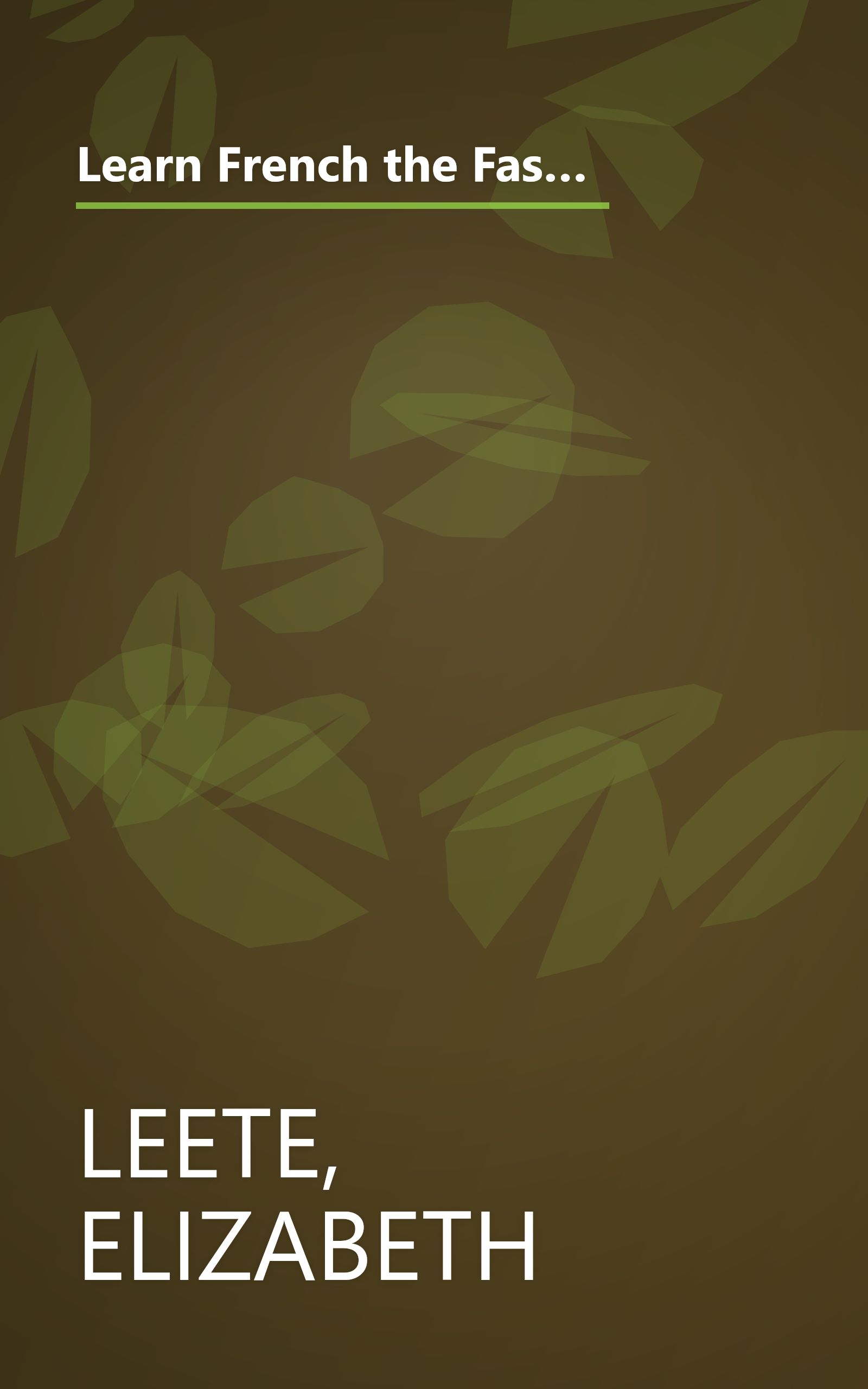 Learn French the Fast and Fun Way/With Pull-Out Bilingual Dictionary (Learn the Fast & Fun Way) (English and French Edition) book cover