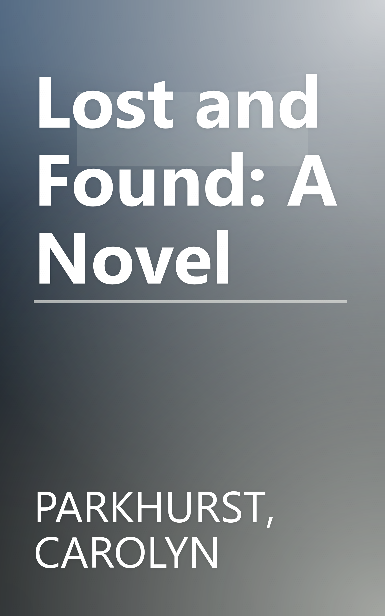 Lost and Found: A Novel book cover