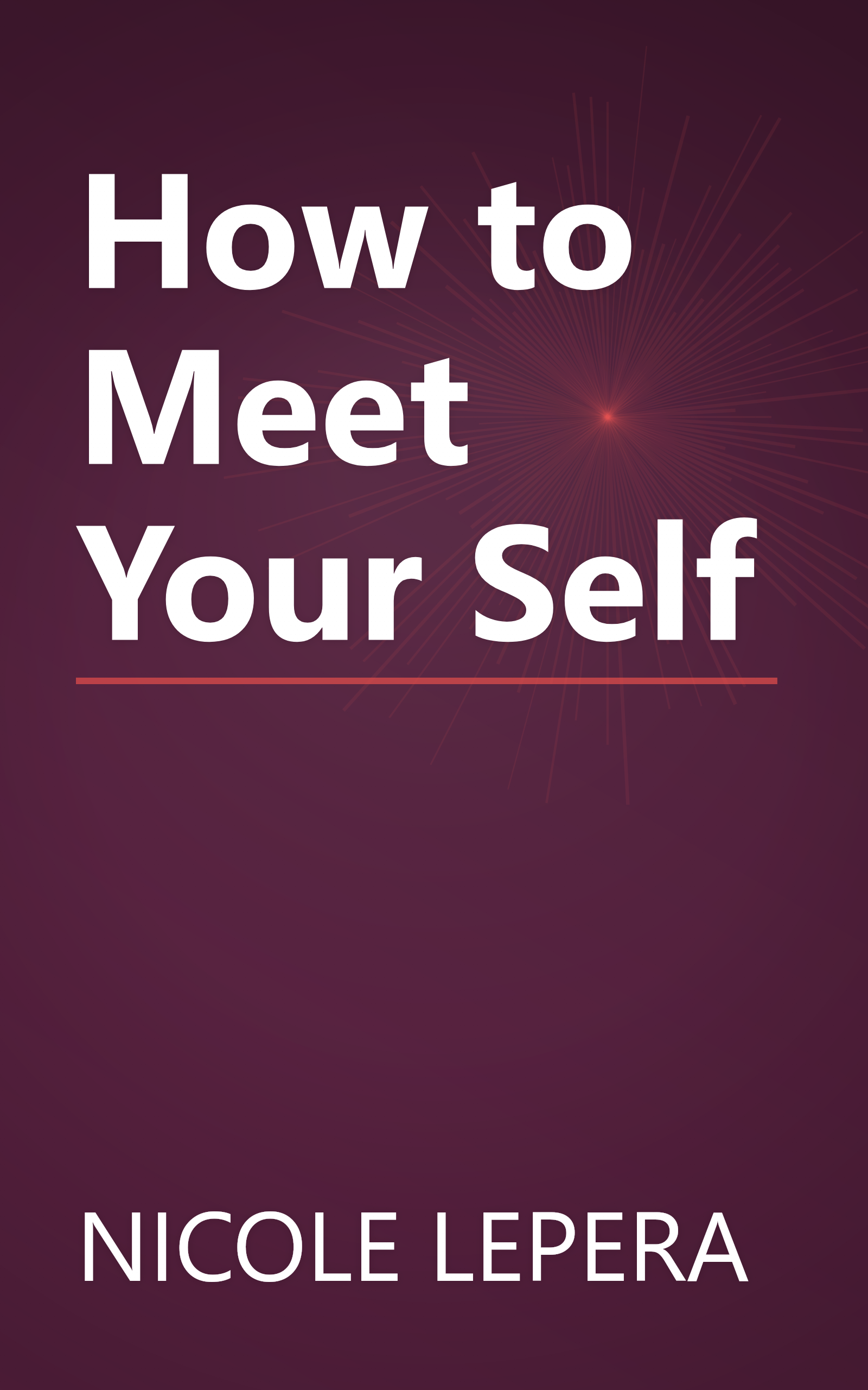 How to Meet Your Self book cover