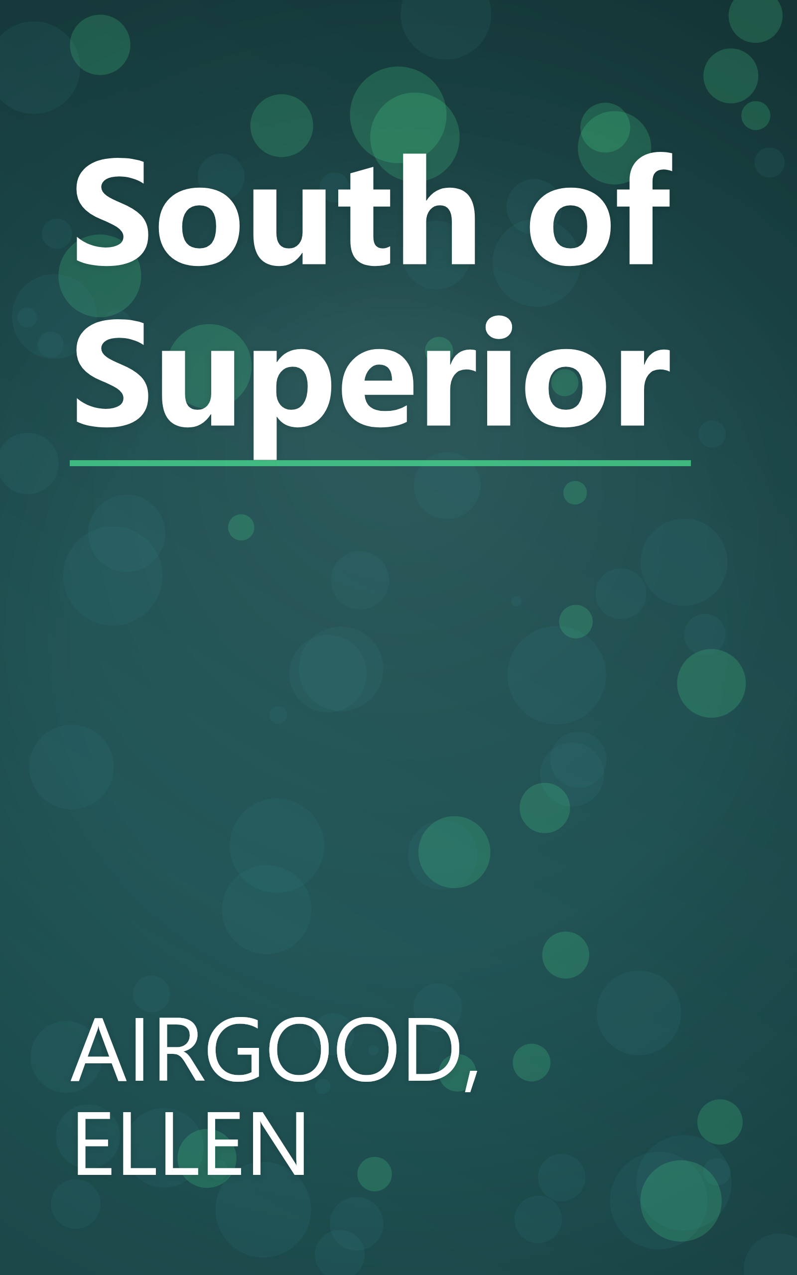 South of Superior book cover