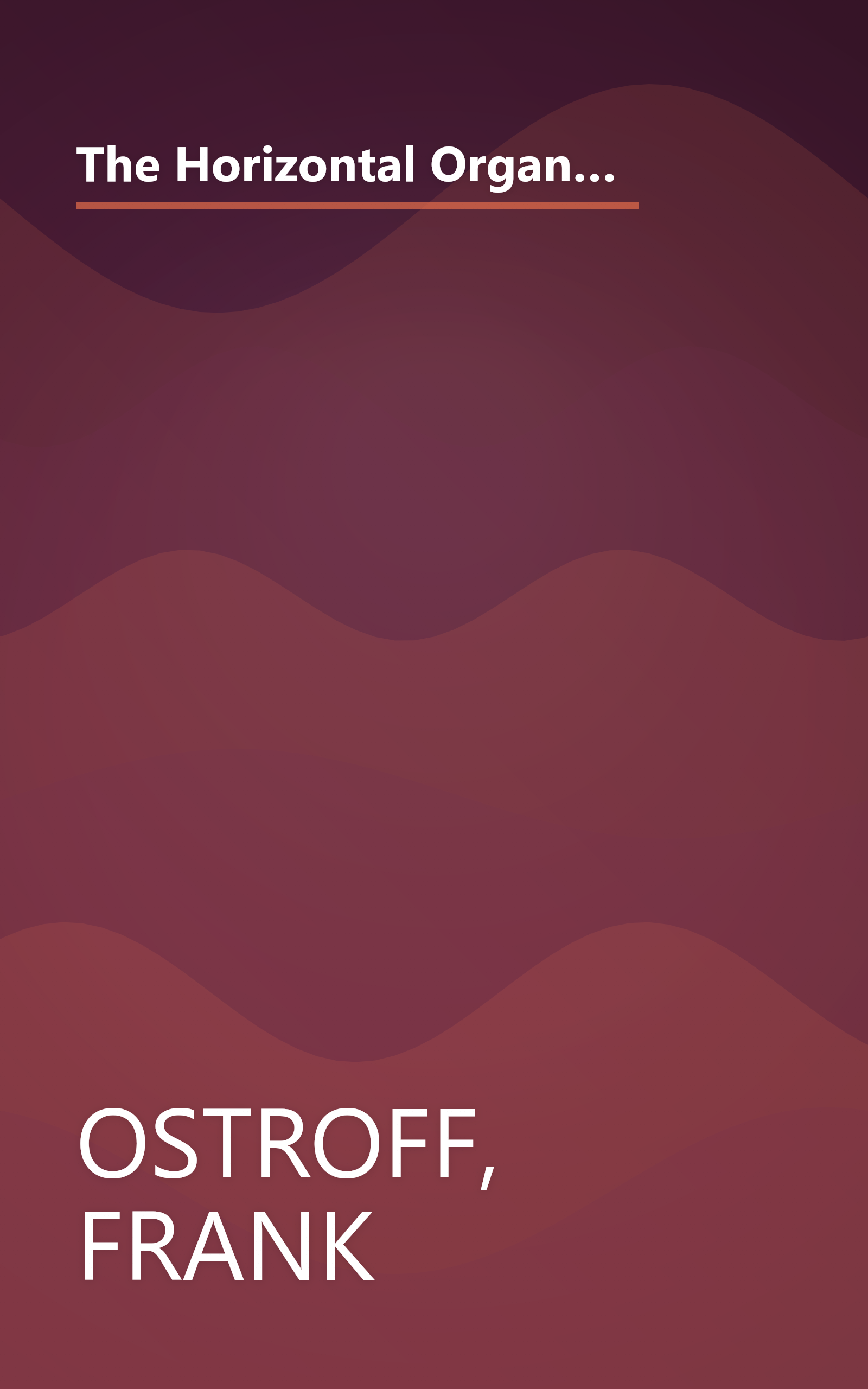 The Horizontal Organization : What the Organization of the Future Actually Looks Like and How it Delivers Value to Customers book cover