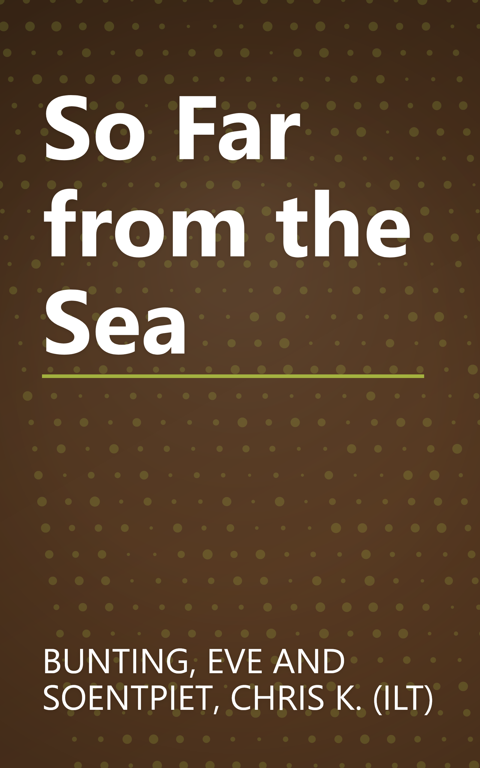 So Far from the Sea book cover