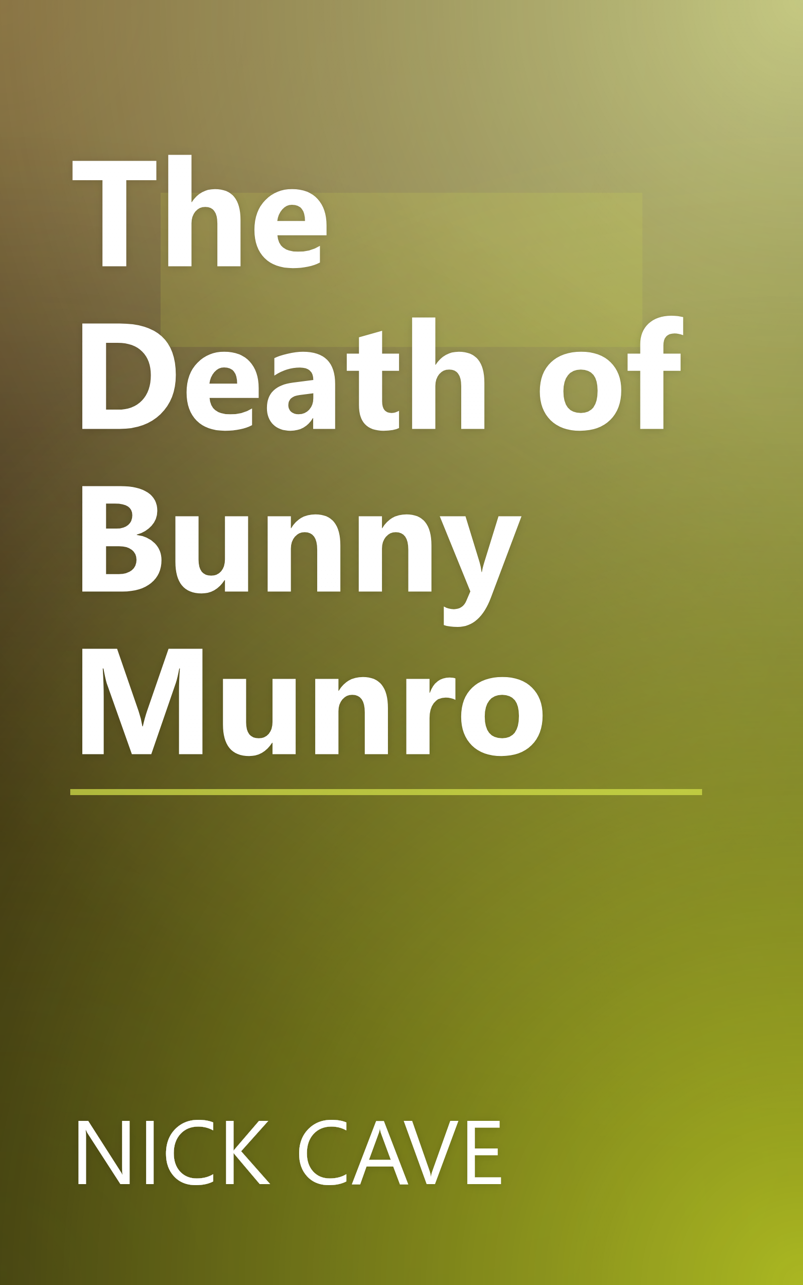 The Death of Bunny Munro book cover
