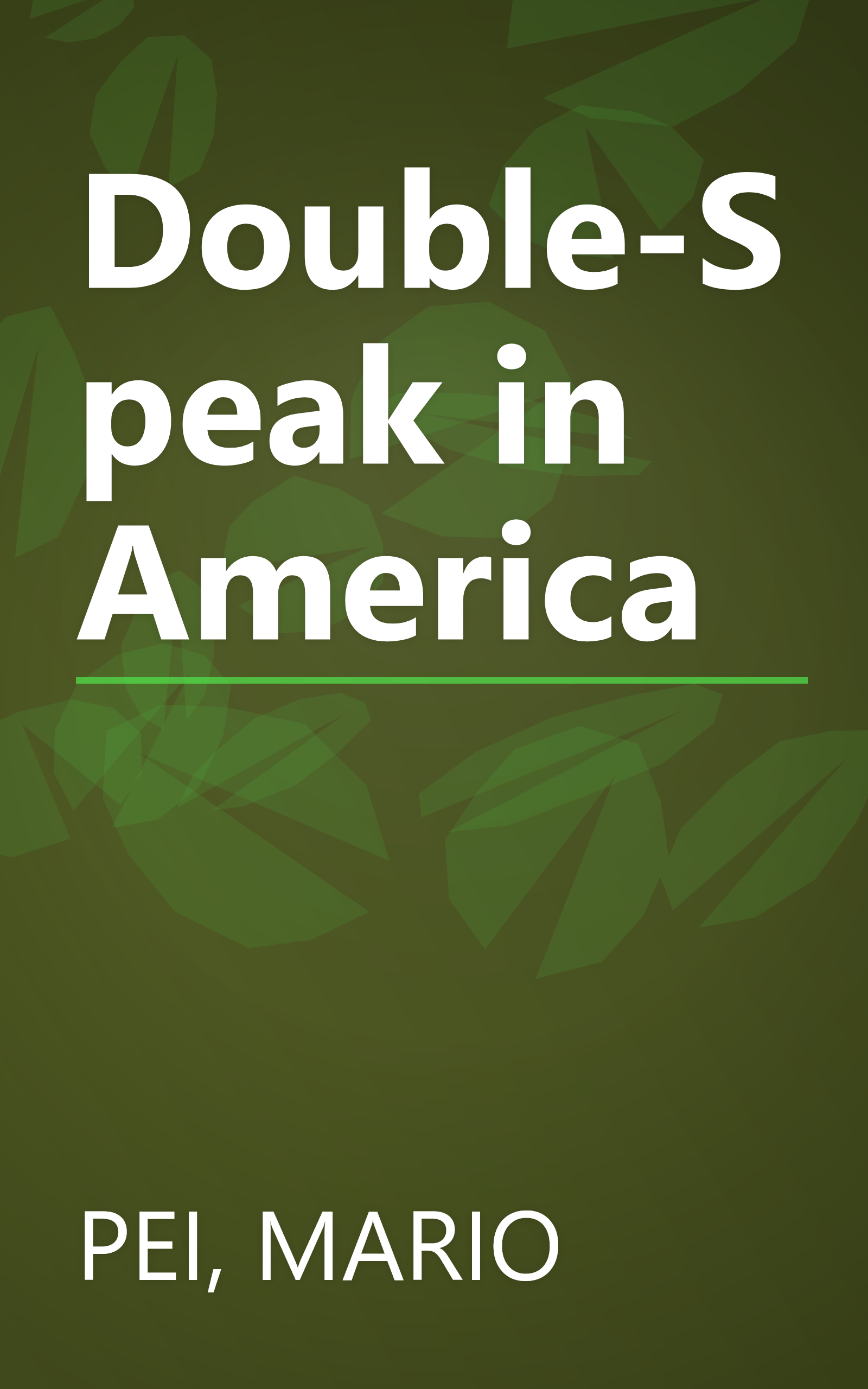 Double-Speak in America book cover