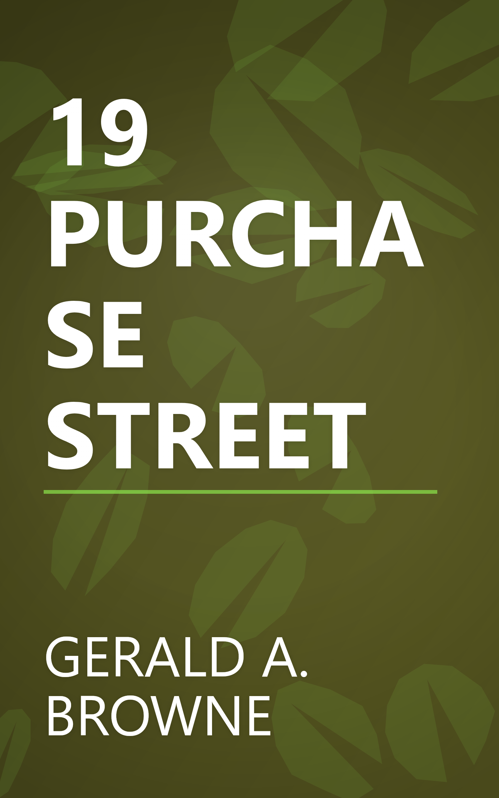 19 PURCHASE STREET book cover